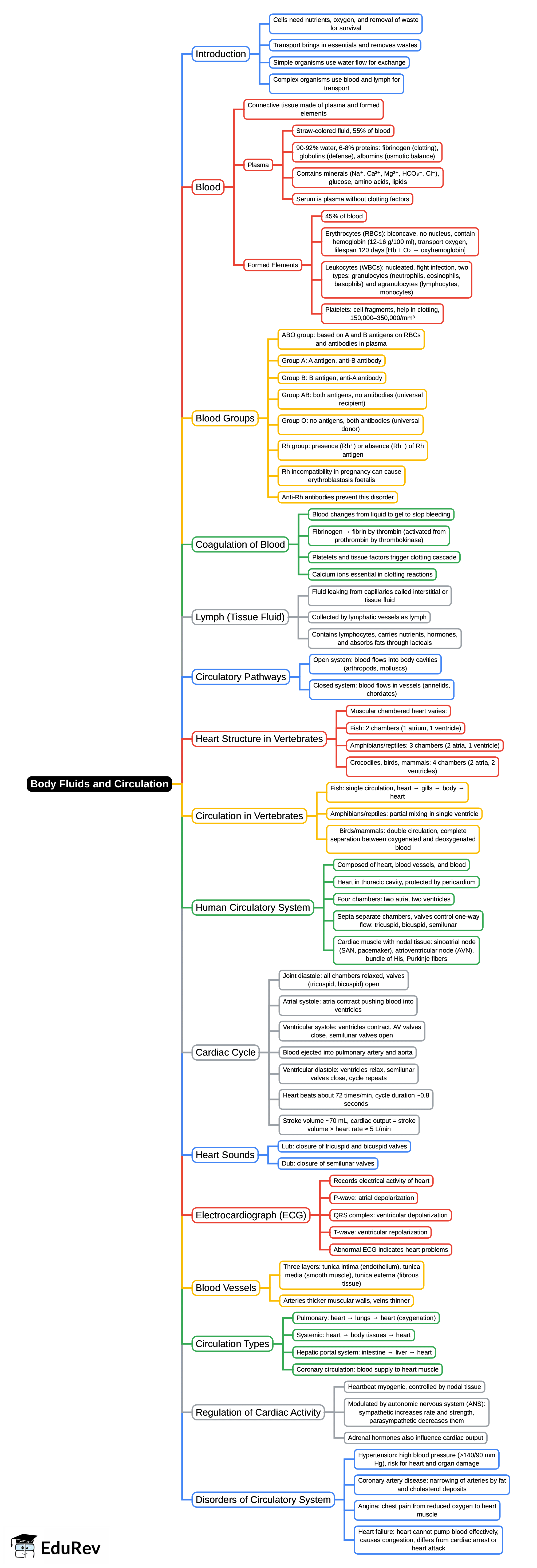 Mind Map: Body Fluids and Circulation - NEET PDF Download