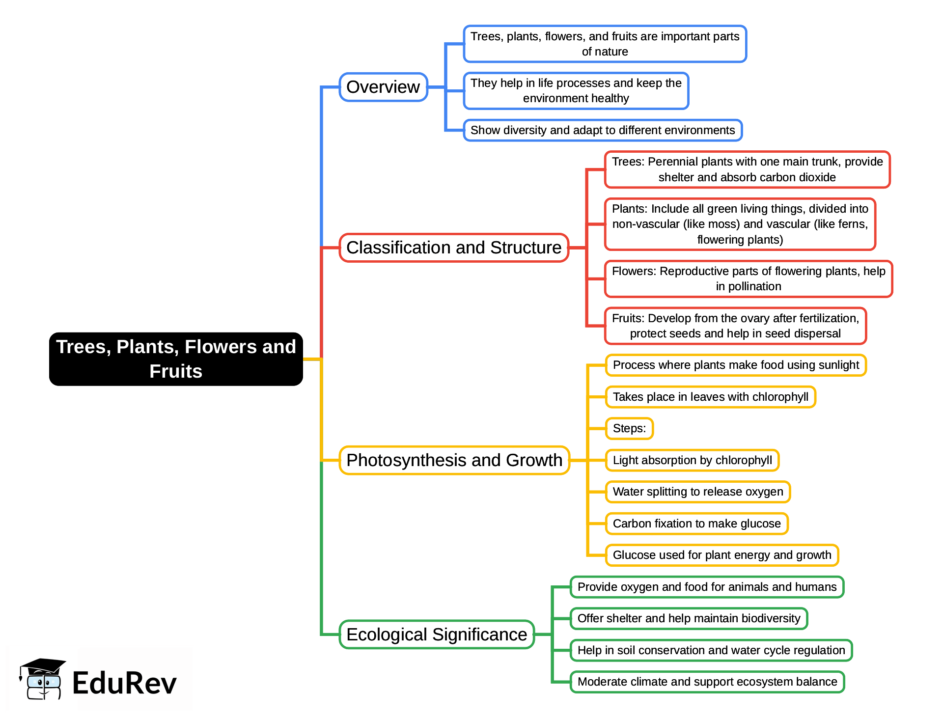 Mind Map: Trees, Plants, Flowers and Fruits - Class 1 PDF Download