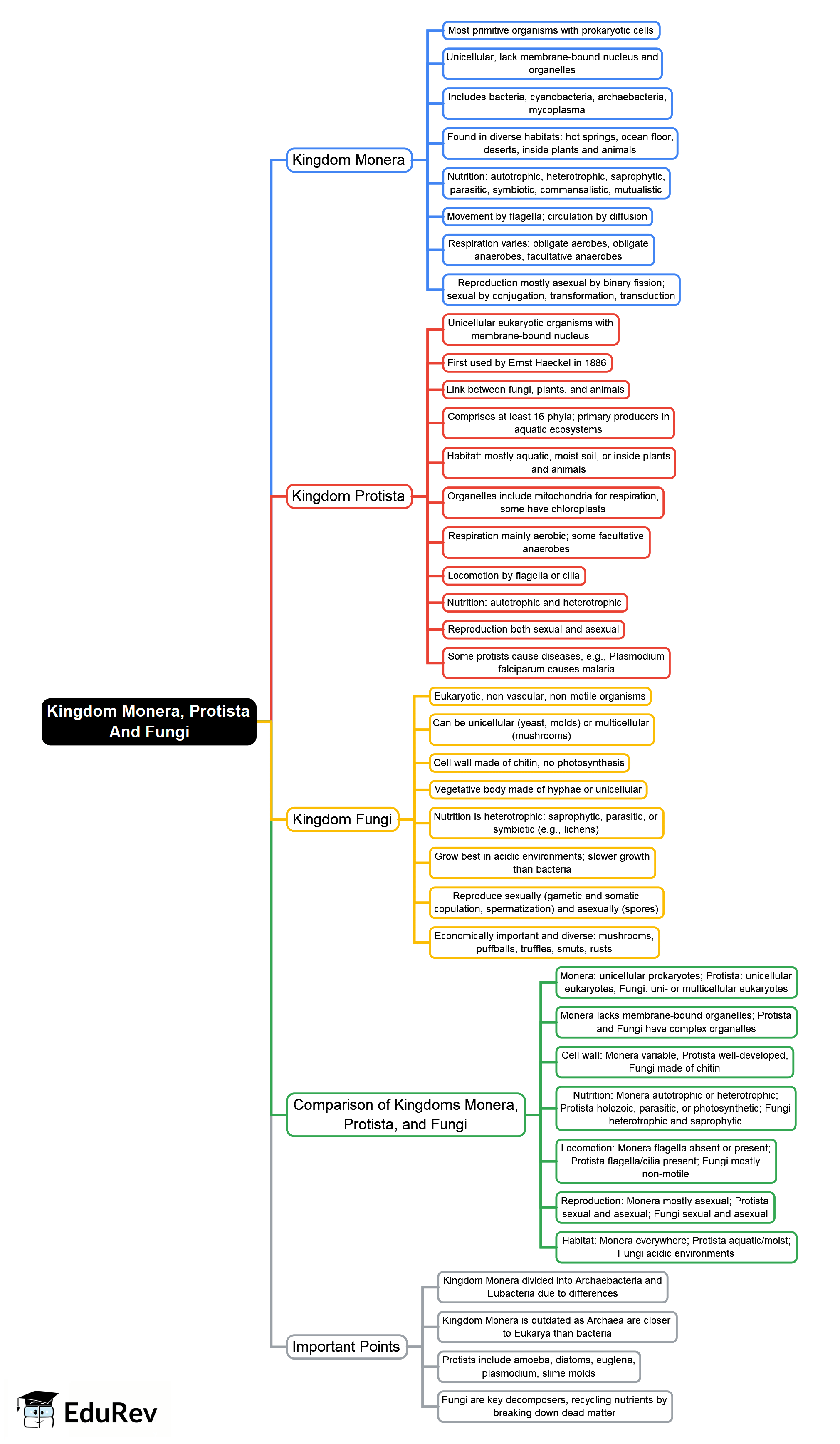 Mind Map: Kingdom Monera, Protista And Fungi - NEET PDF Download