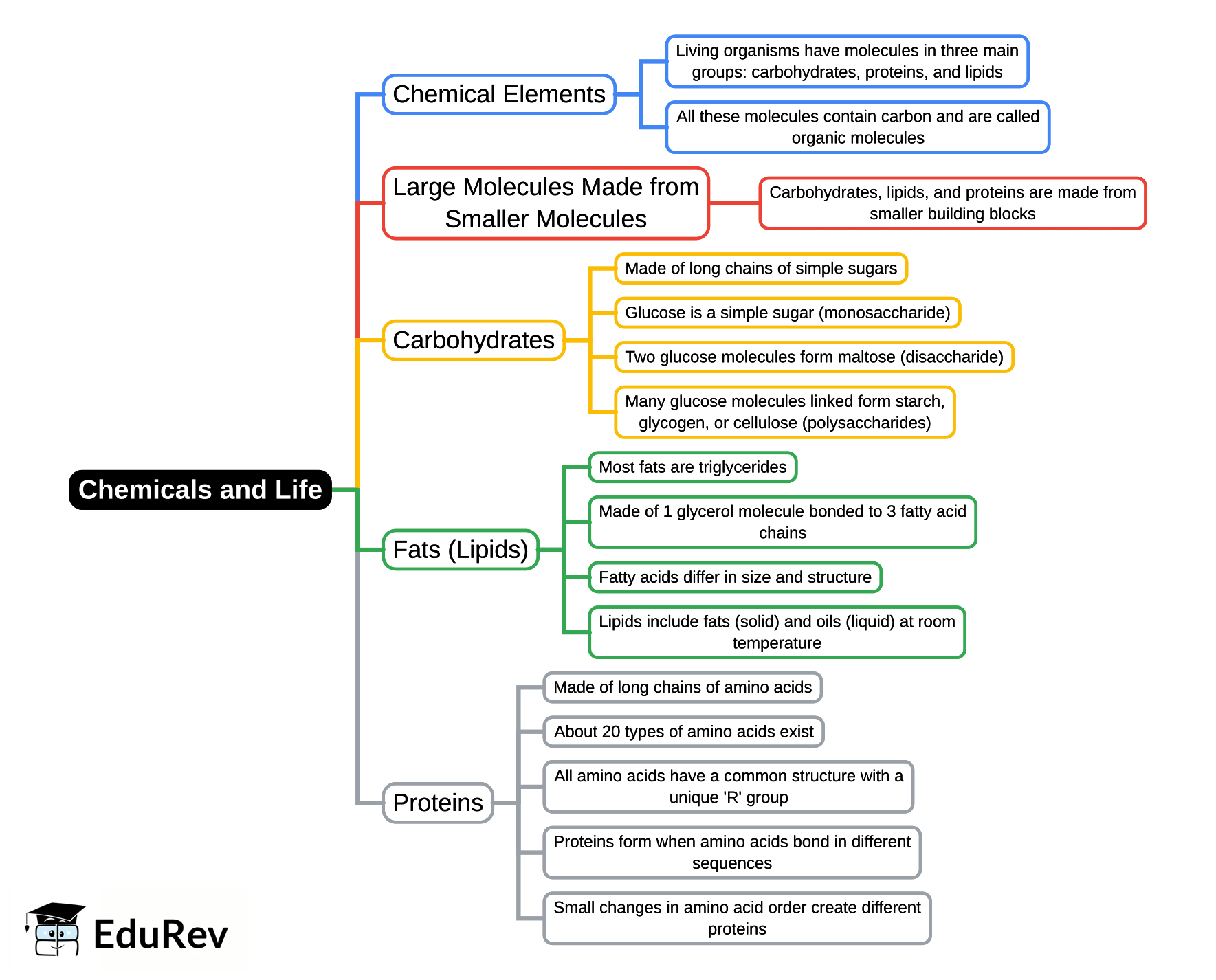 Mind Map: Chemicals and Life - Year 10 PDF Download