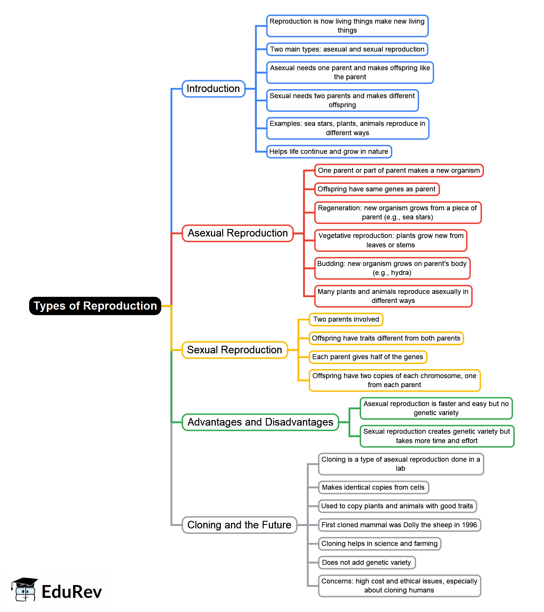 Mind Map: Types of Reproduction - Grade 6 PDF Download