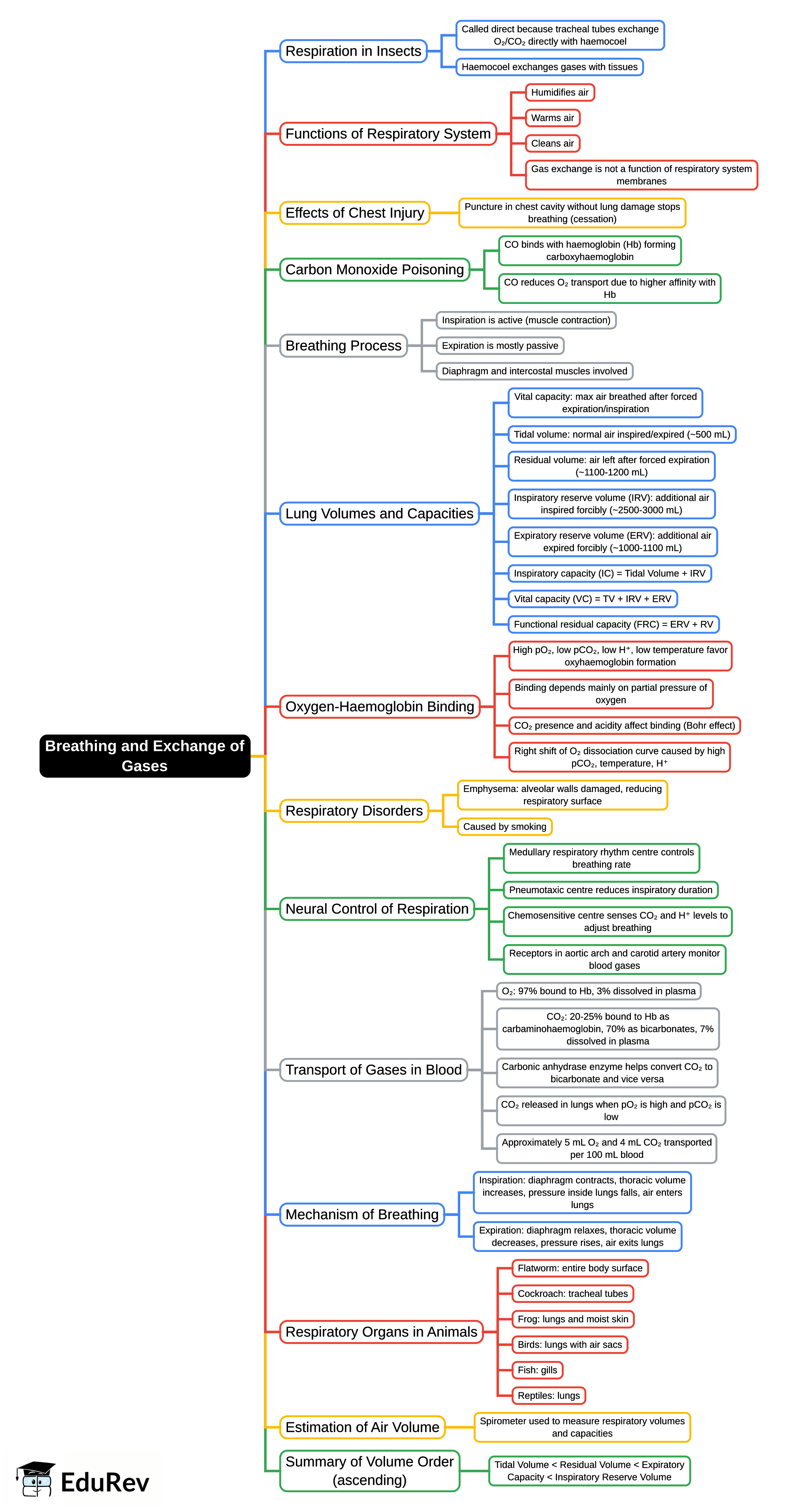 Breathing and Exchange of Gases Mind Map - NEET PDF Download