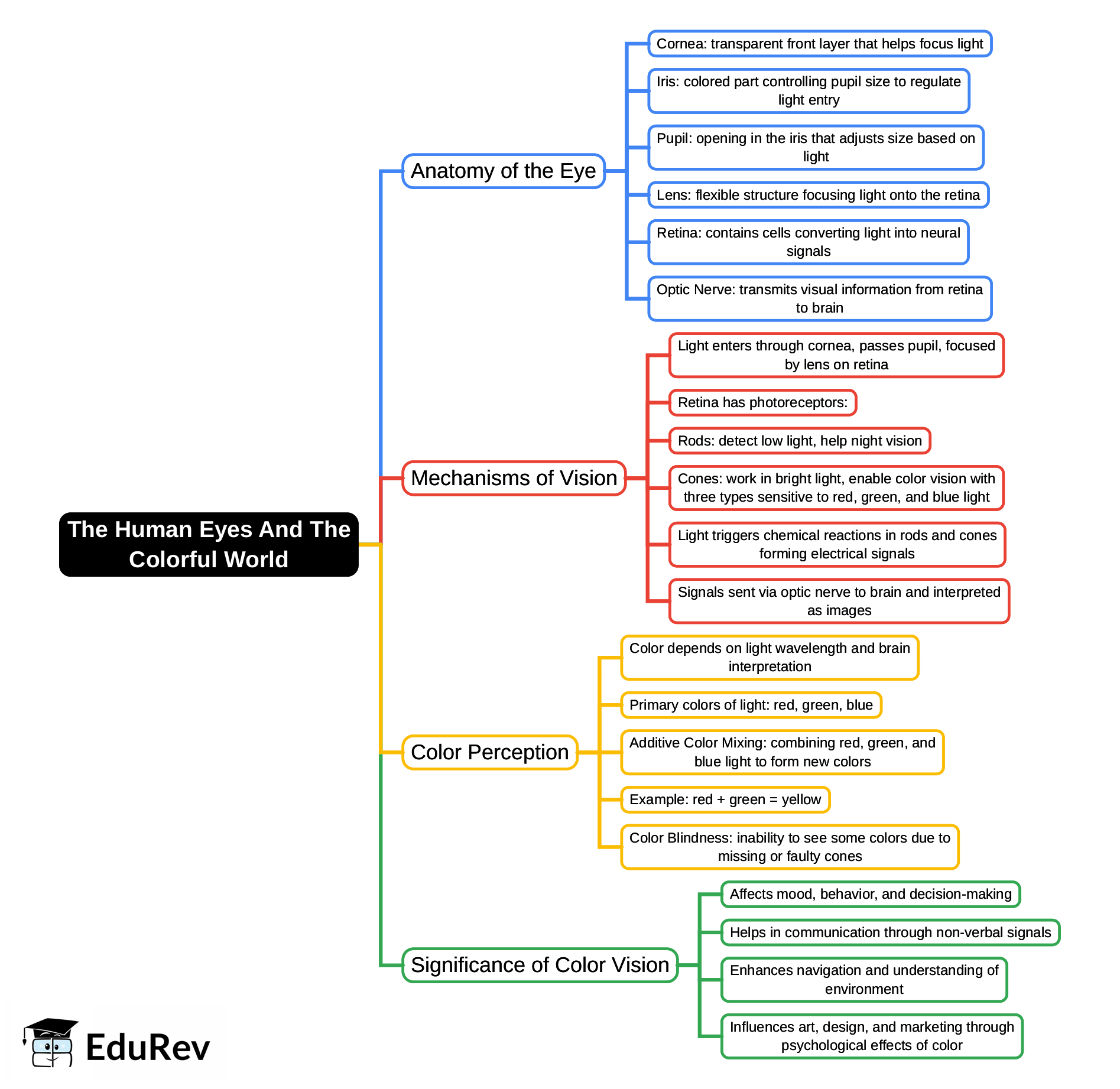 Mind Map: The Human Eyes And The Colorful World - Class 10 PDF Download