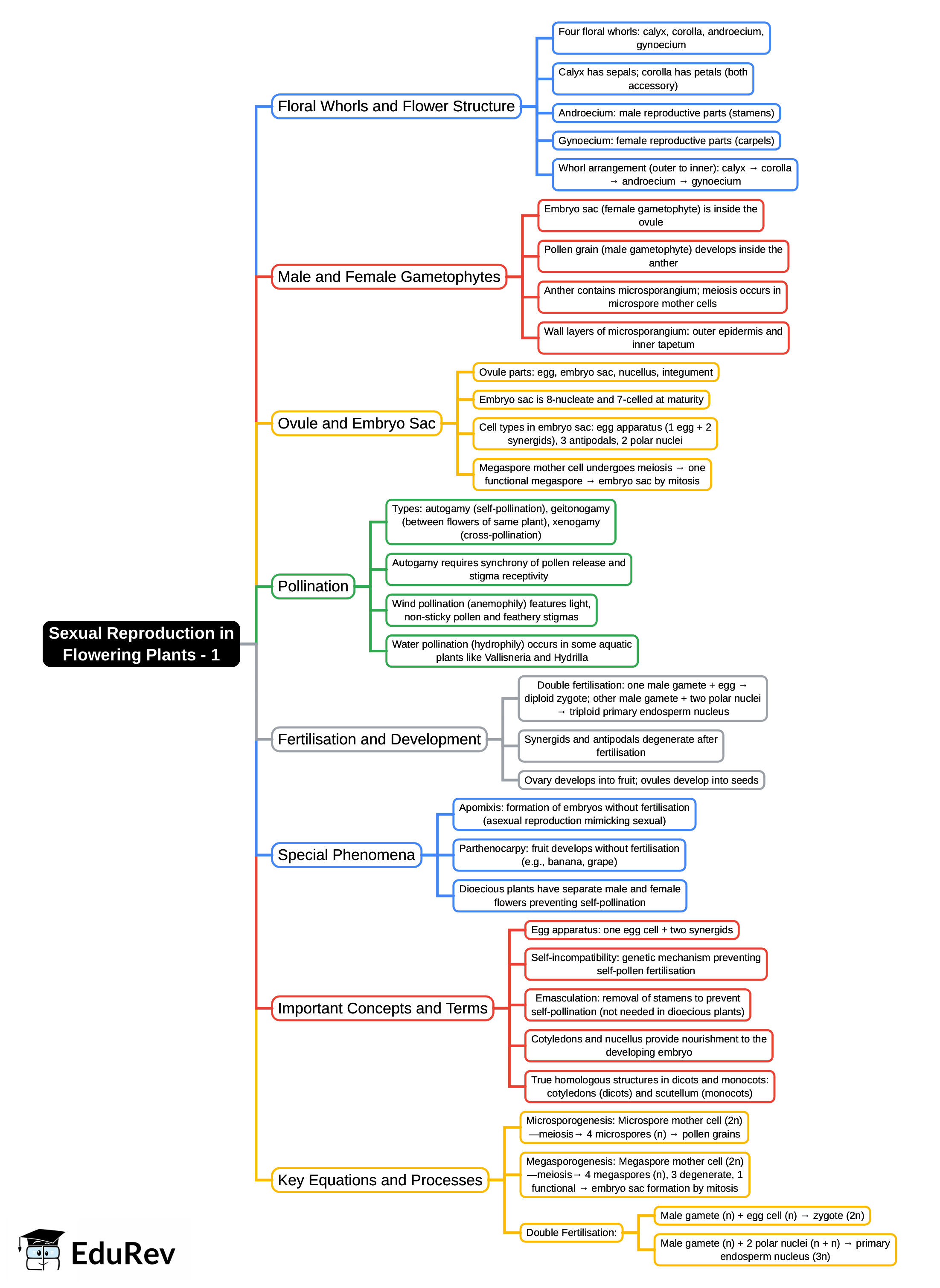 Mind Map: Sexual Reproduction in Flowering Plants - 1 - NEET PDF Download