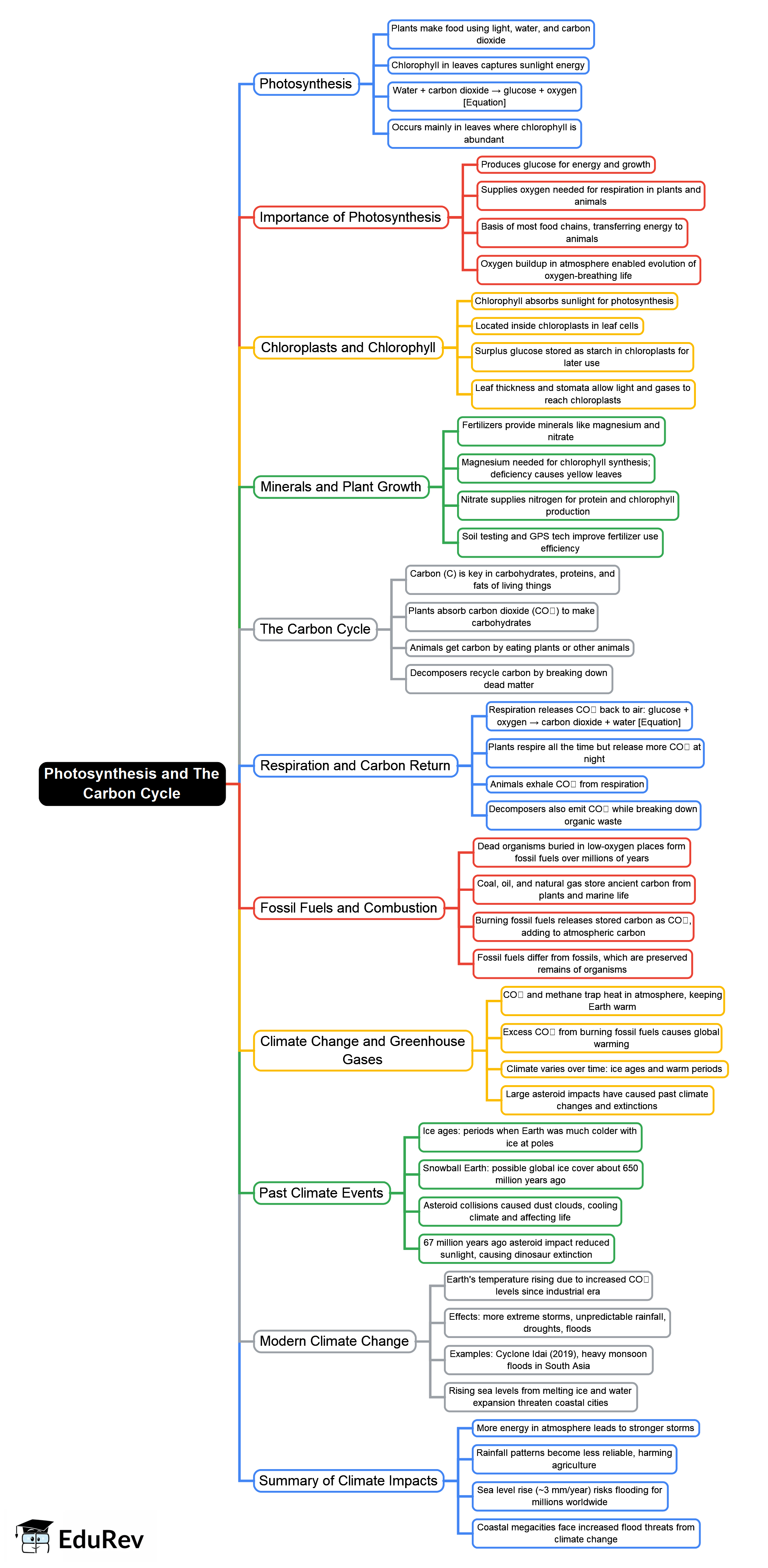 Photosynthesis and The Carbon Cycle Mind Map - Class 9 PDF Download