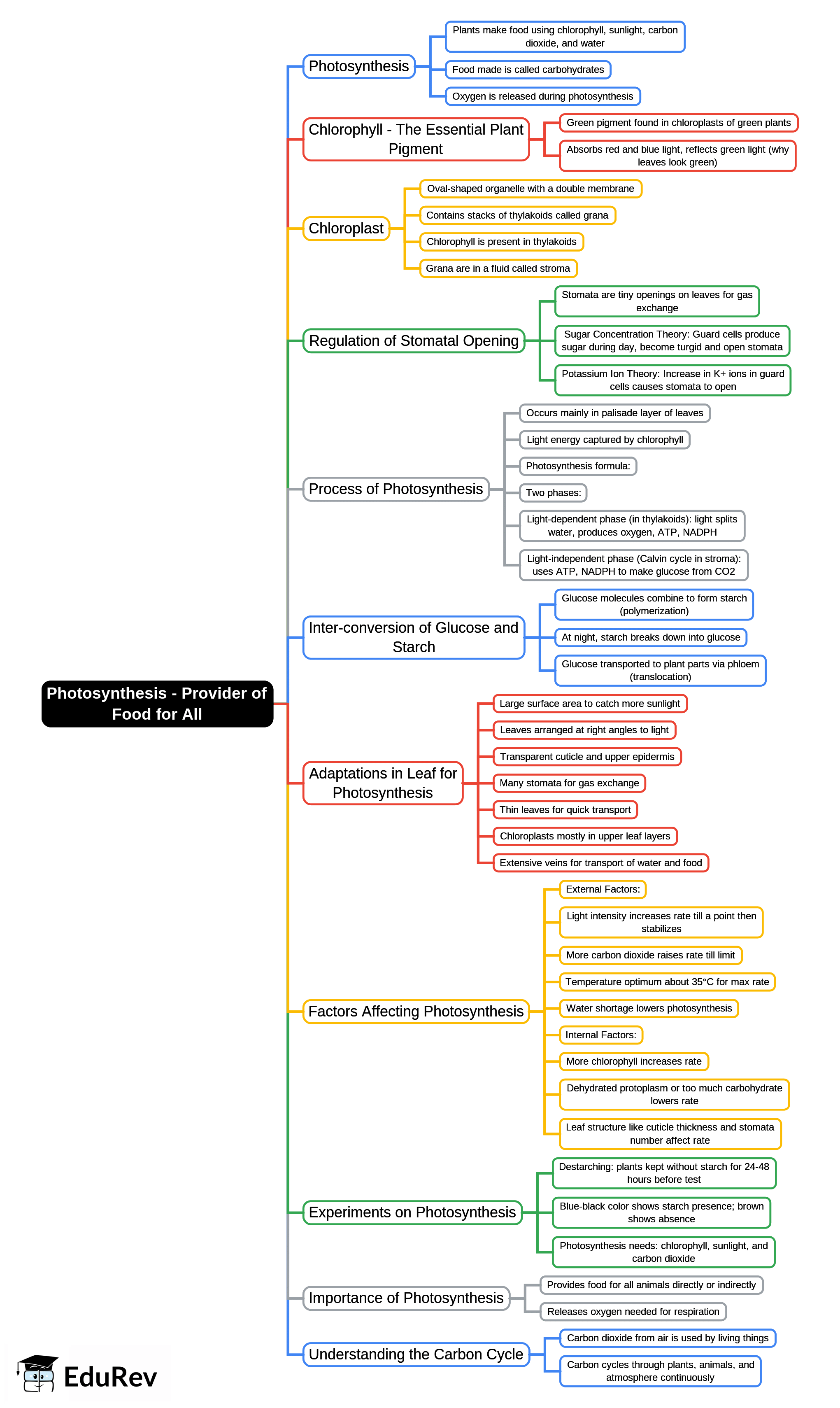 Mind Map: Photosynthesis - Provider of Food for All PDF Download