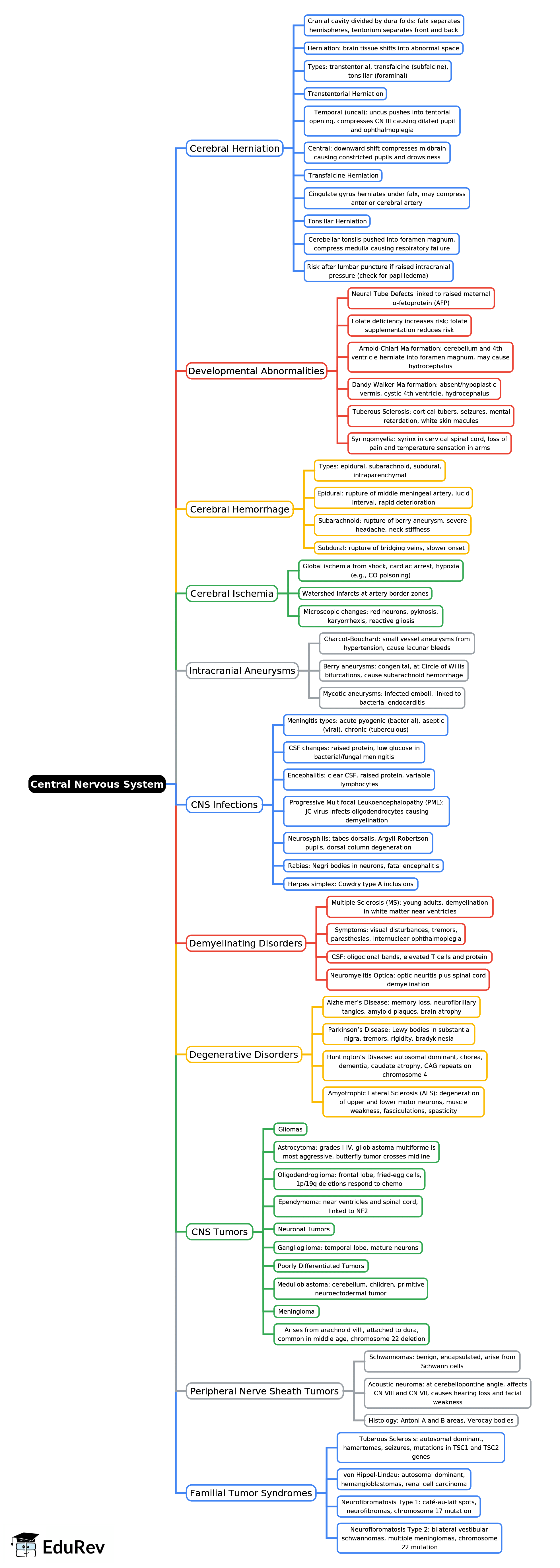 Mind Map: Central Nervous System - Pathology - NEET PG PDF Download