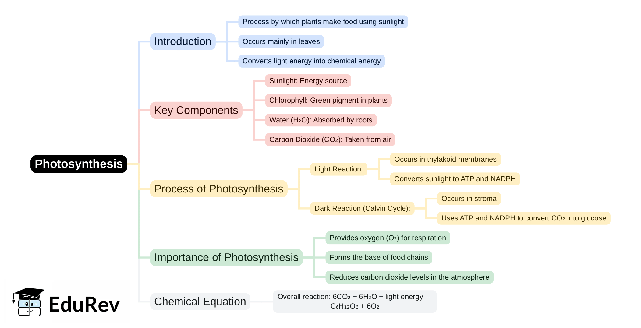 Mindmap: PDF Download