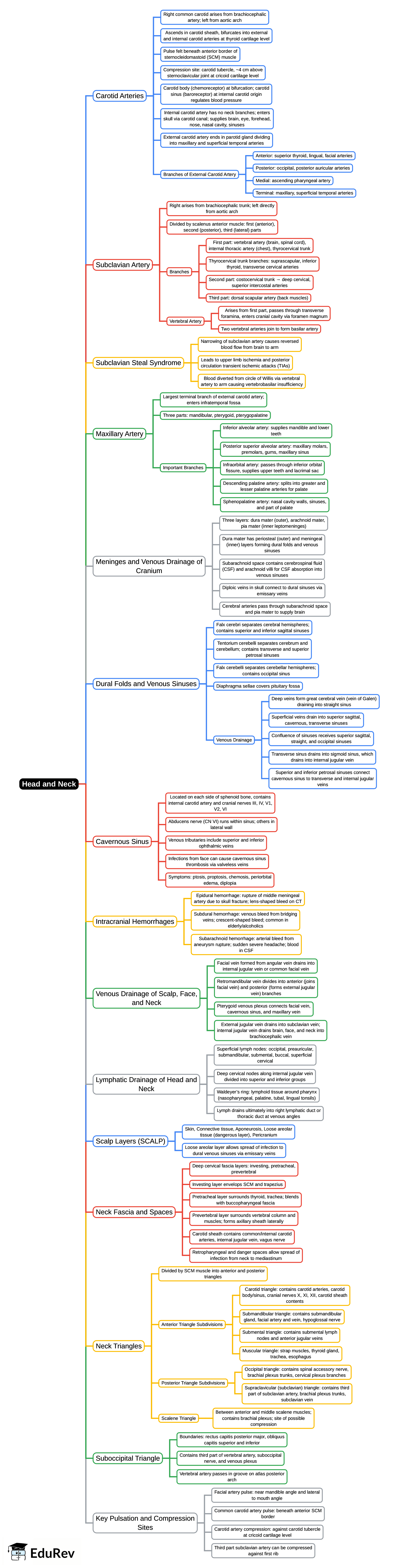 Head and Neck – 3 Mind Map - NEET PG Anatomy PDF Download