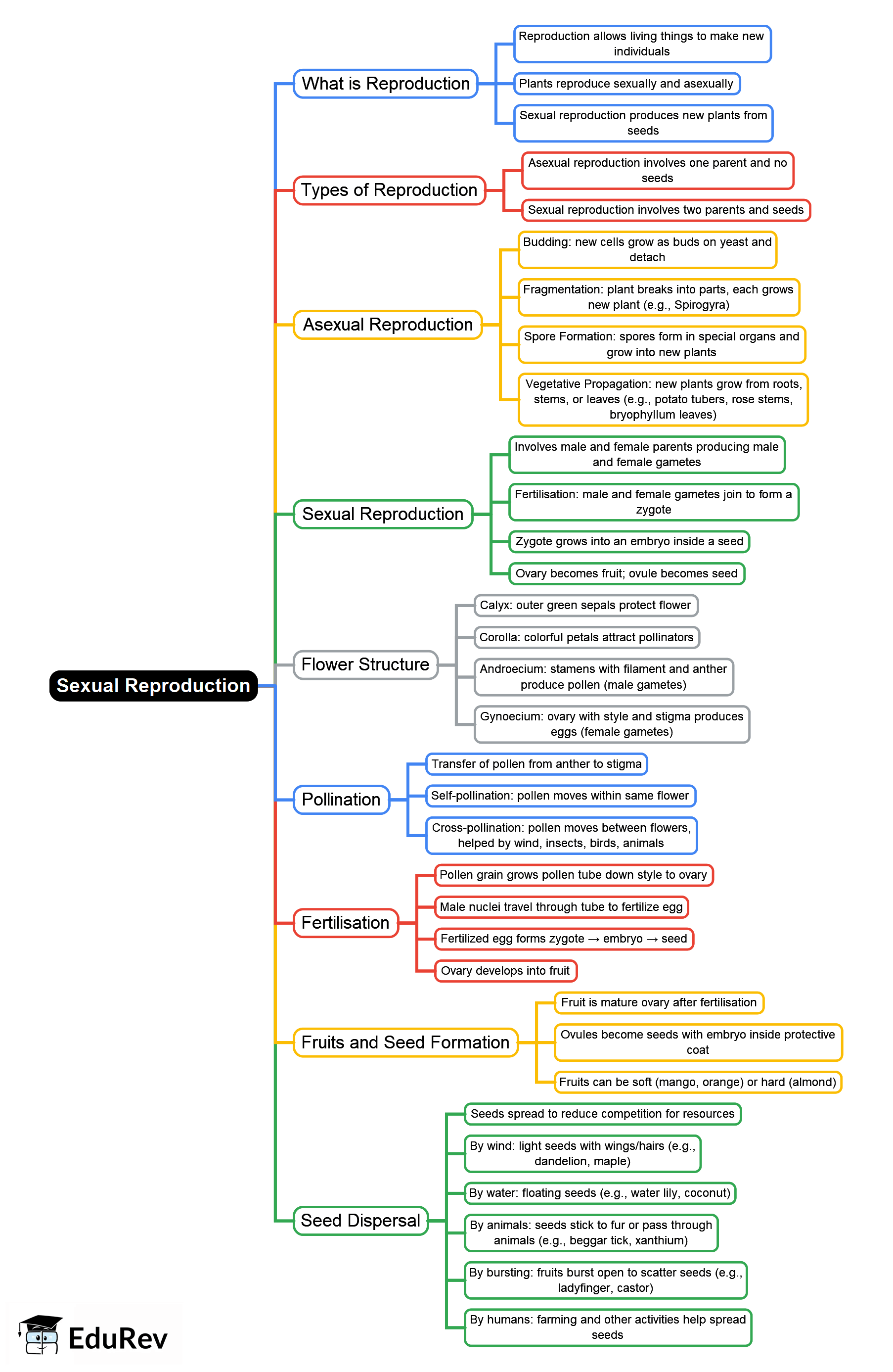 Sexual reproduction Mind Map - Grade 7 PDF Download