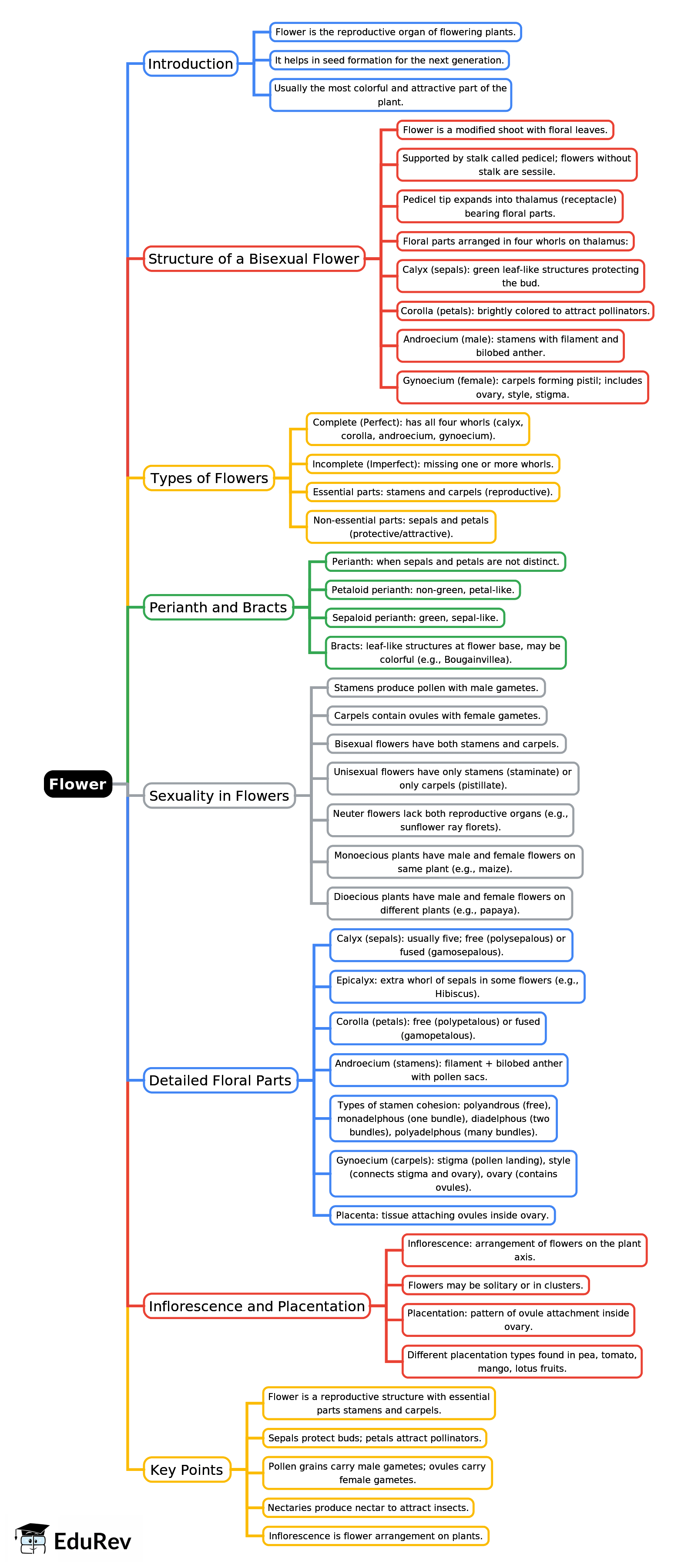 Mind Map: Flower - Biology Class 9 ICSE PDF Download