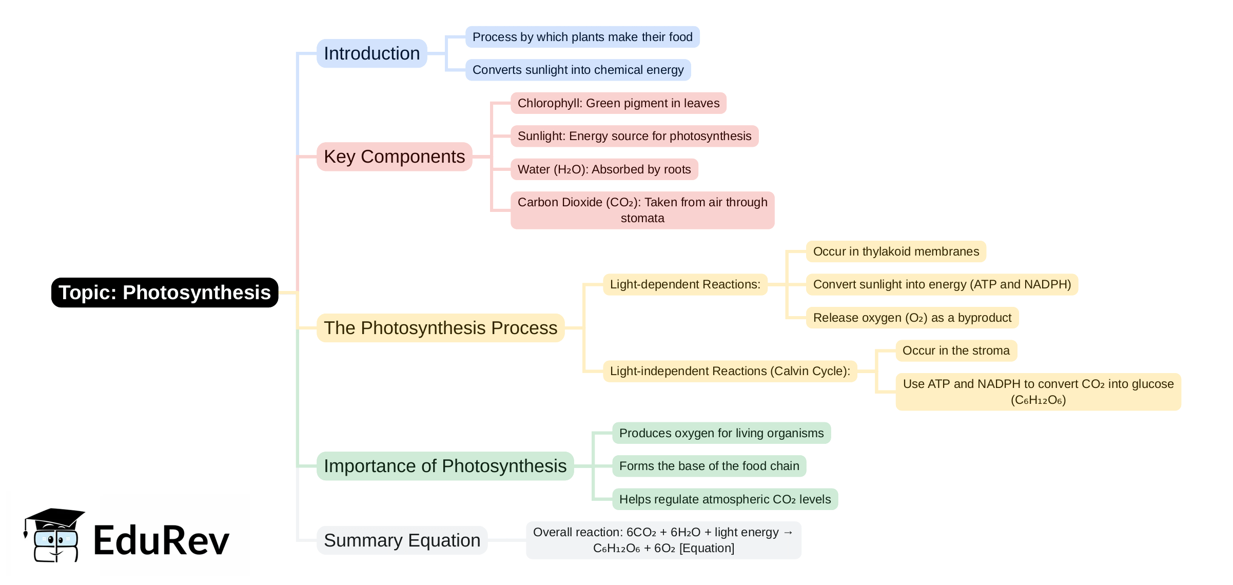 Mind Map: PDF Download