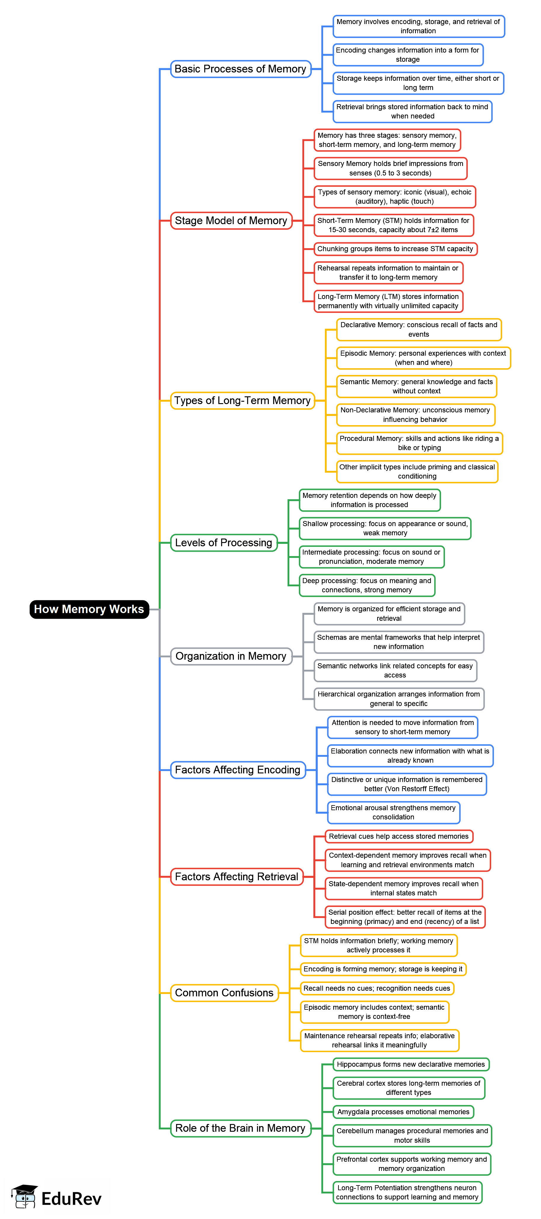 Mind Map: How Memory Works - Humanities/Arts PDF Download