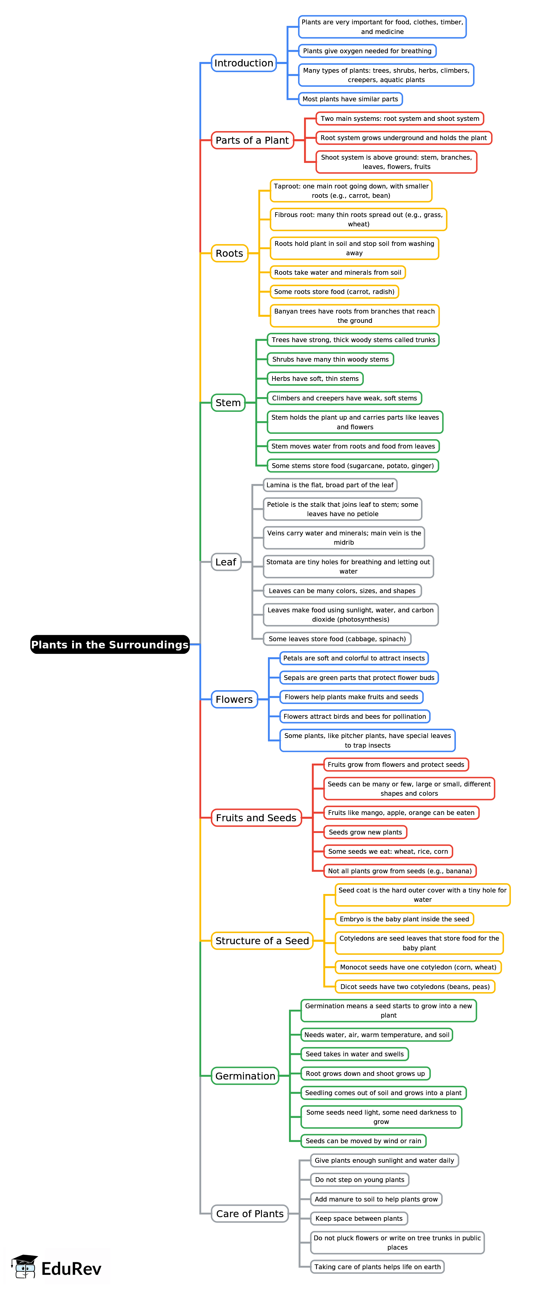 Plants in the Surroundings Mind Map - Class 3 Science ICSE PDF Download