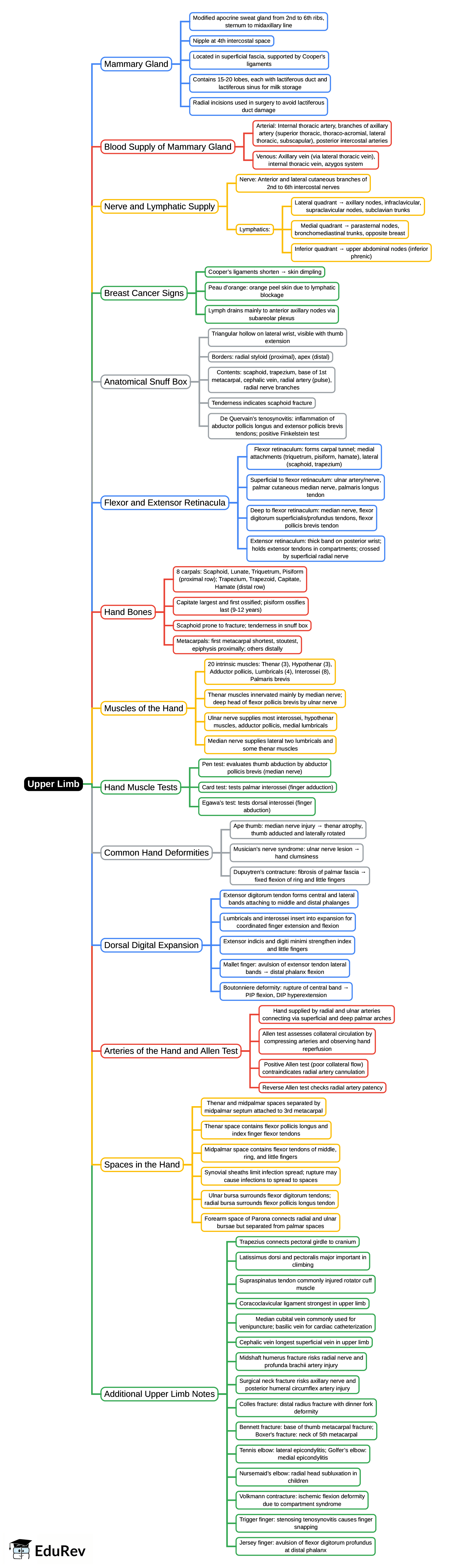 Mind Map: Upper Limb - Anatomy - NEET PG PDF Download