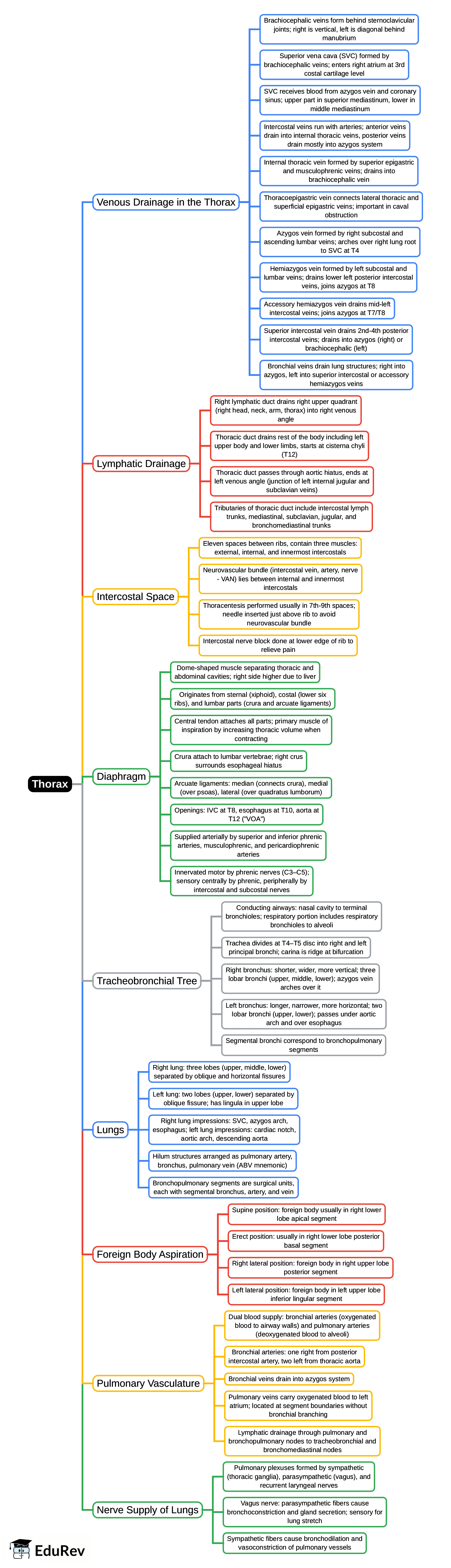 Mind Map: Thorax - Anatomy - NEET PG PDF Download