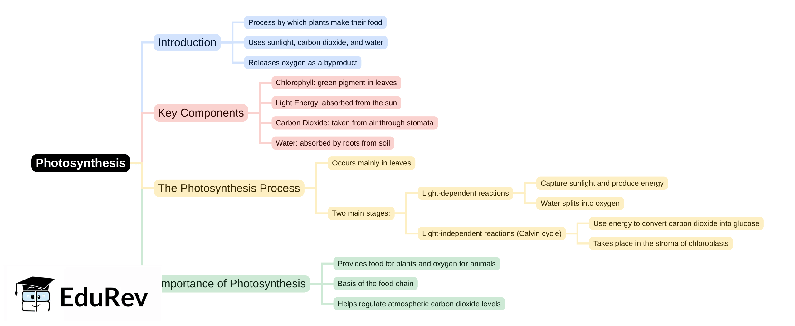 Mind Map - PDF Download