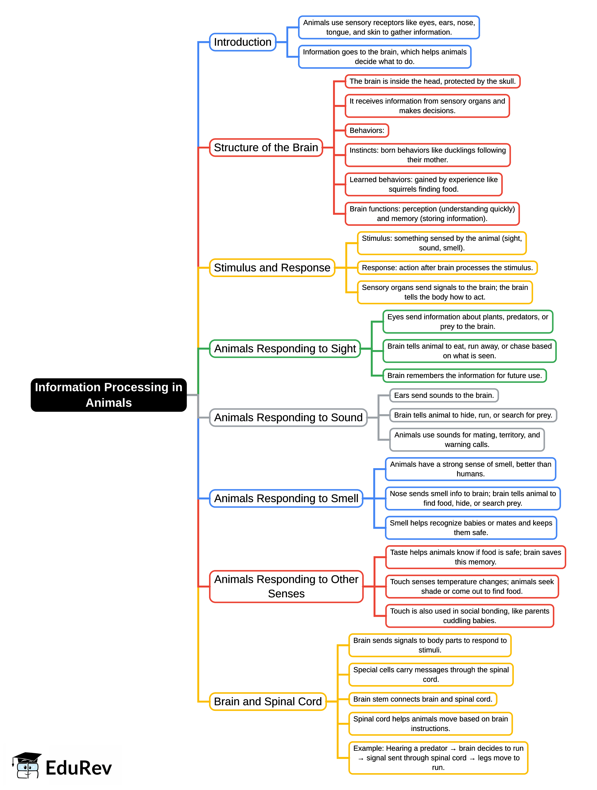 Mind Map: Information Processing in Animals - Grade 6 PDF Download