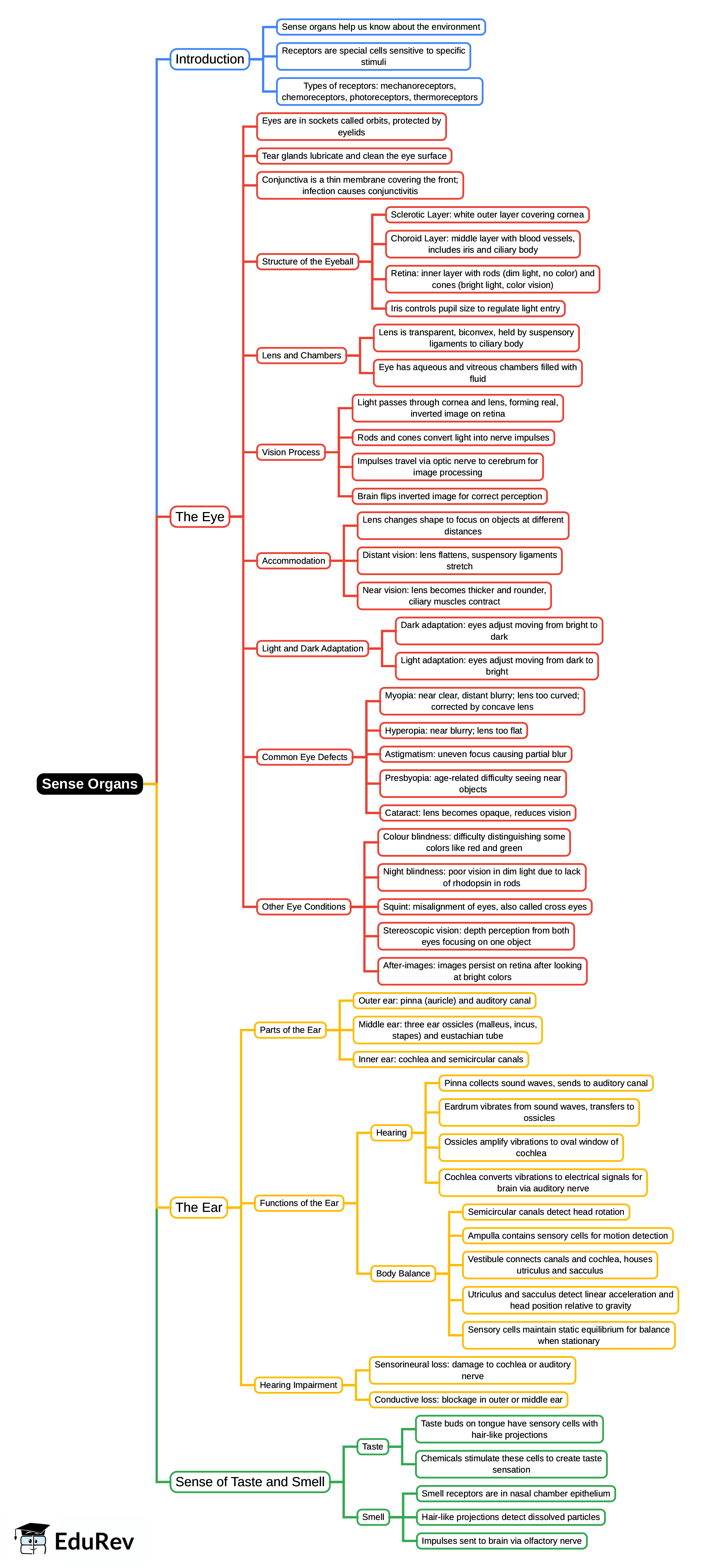 Mind Map: Sense Organs - Grade 10 PDF Download