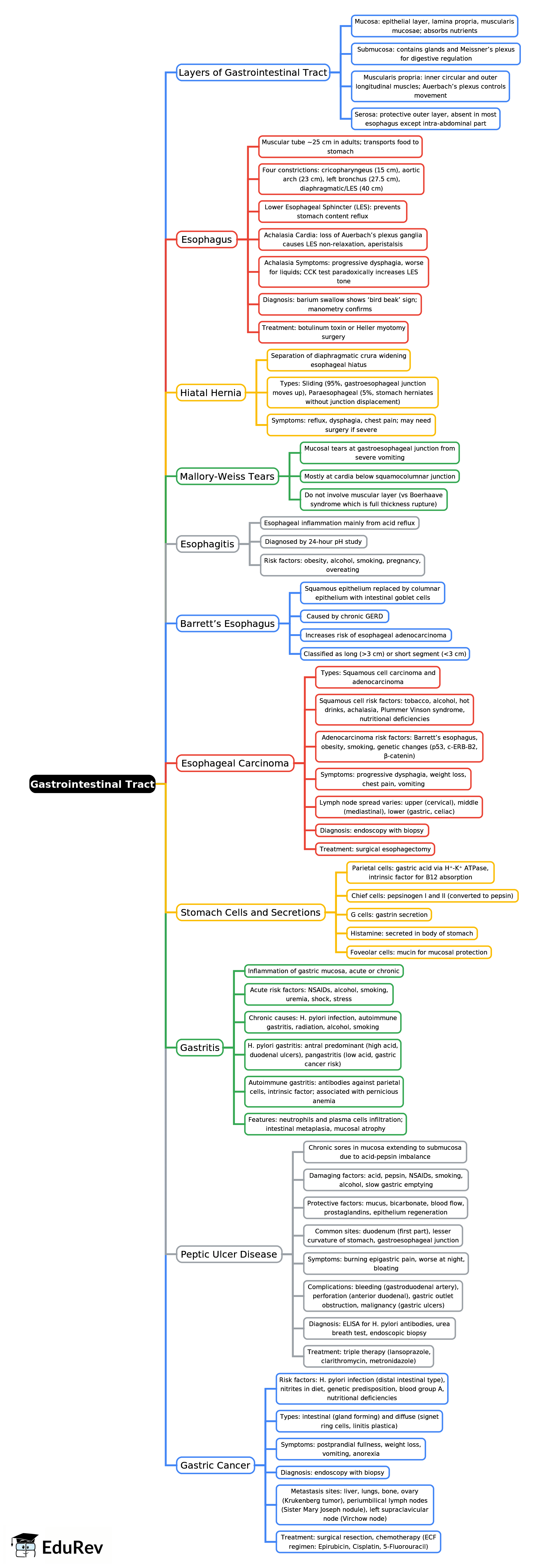 Mind Map: Gastrointestinal Tract -1 - Pathology - NEET PG PDF Download