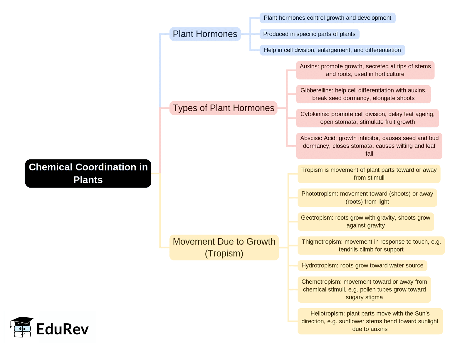 Mind Map: Chemical Coordination in Plants PDF Download