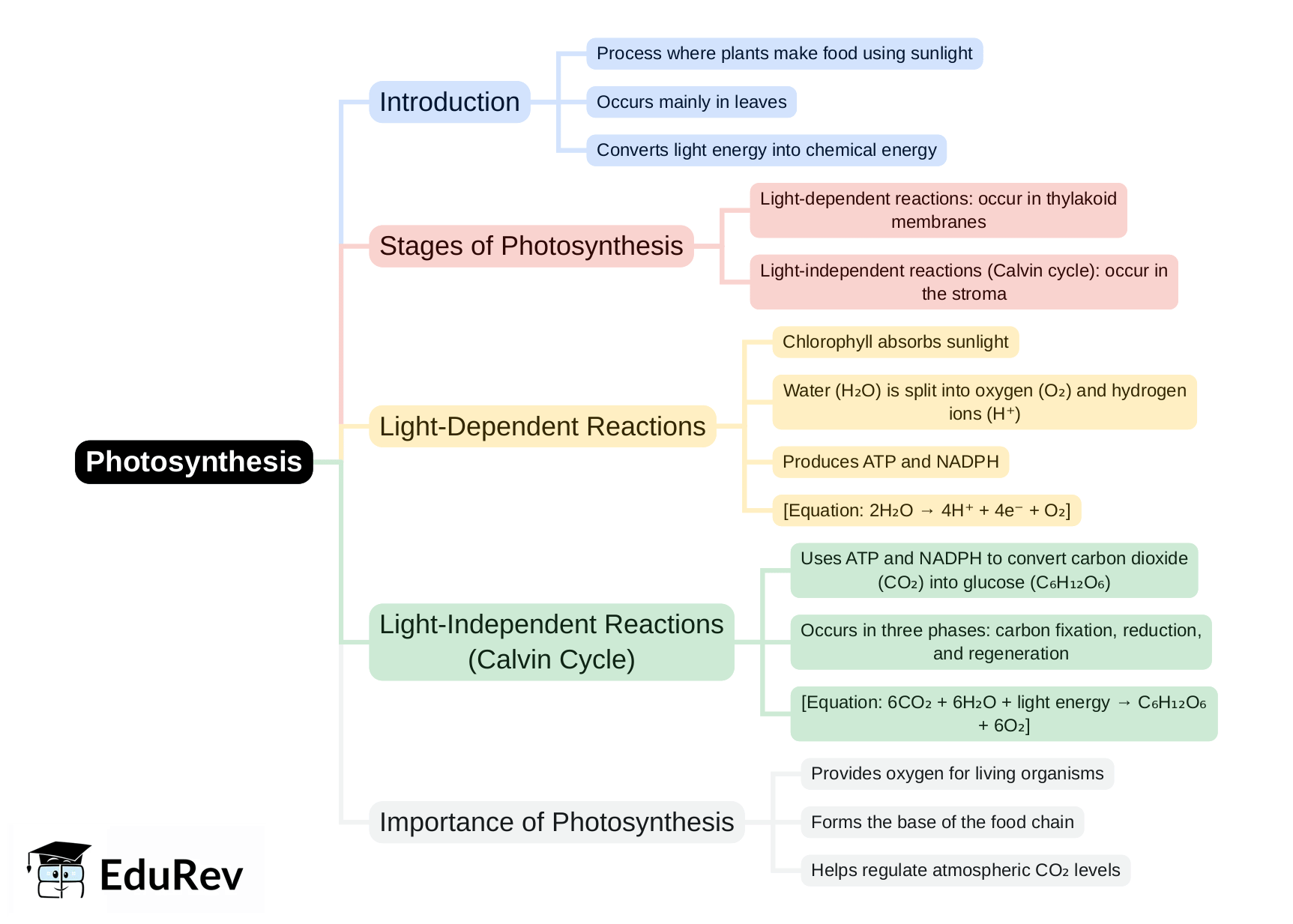 Mind Map: PDF Download