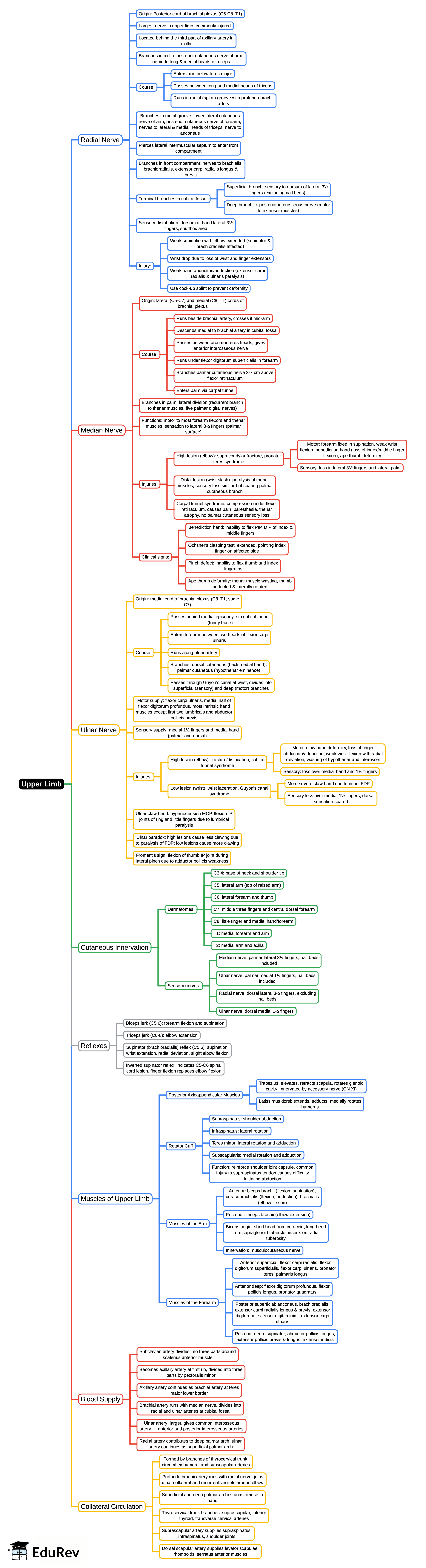 Mind Map: Upper Limb – 2 - Anatomy - NEET PG PDF Download