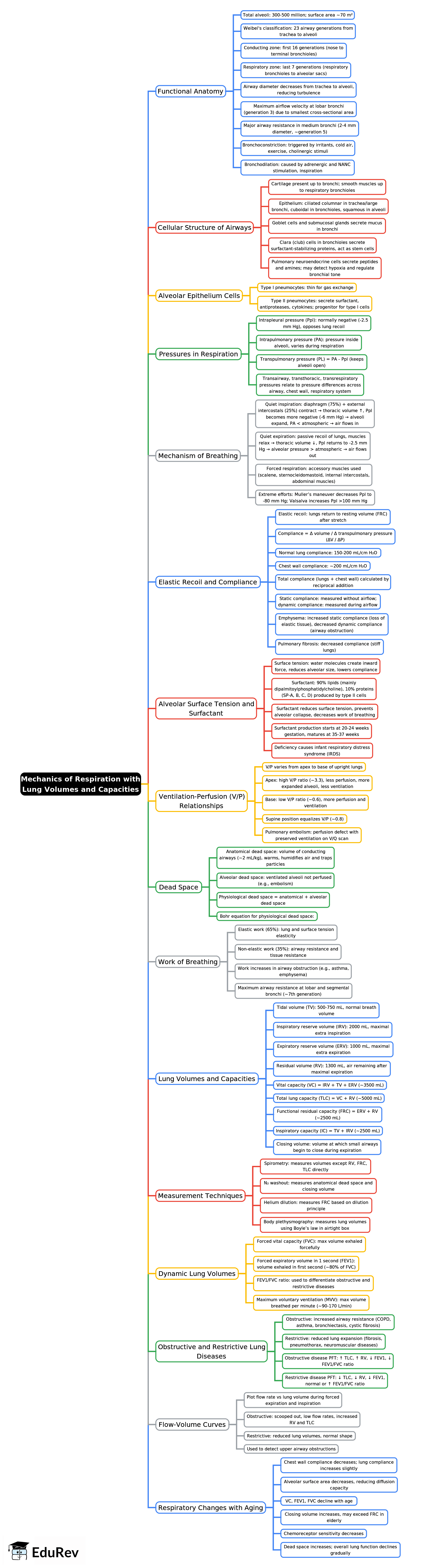 Mind Map: Mechanics of Respiration with Lung Volumes and Capacities ...