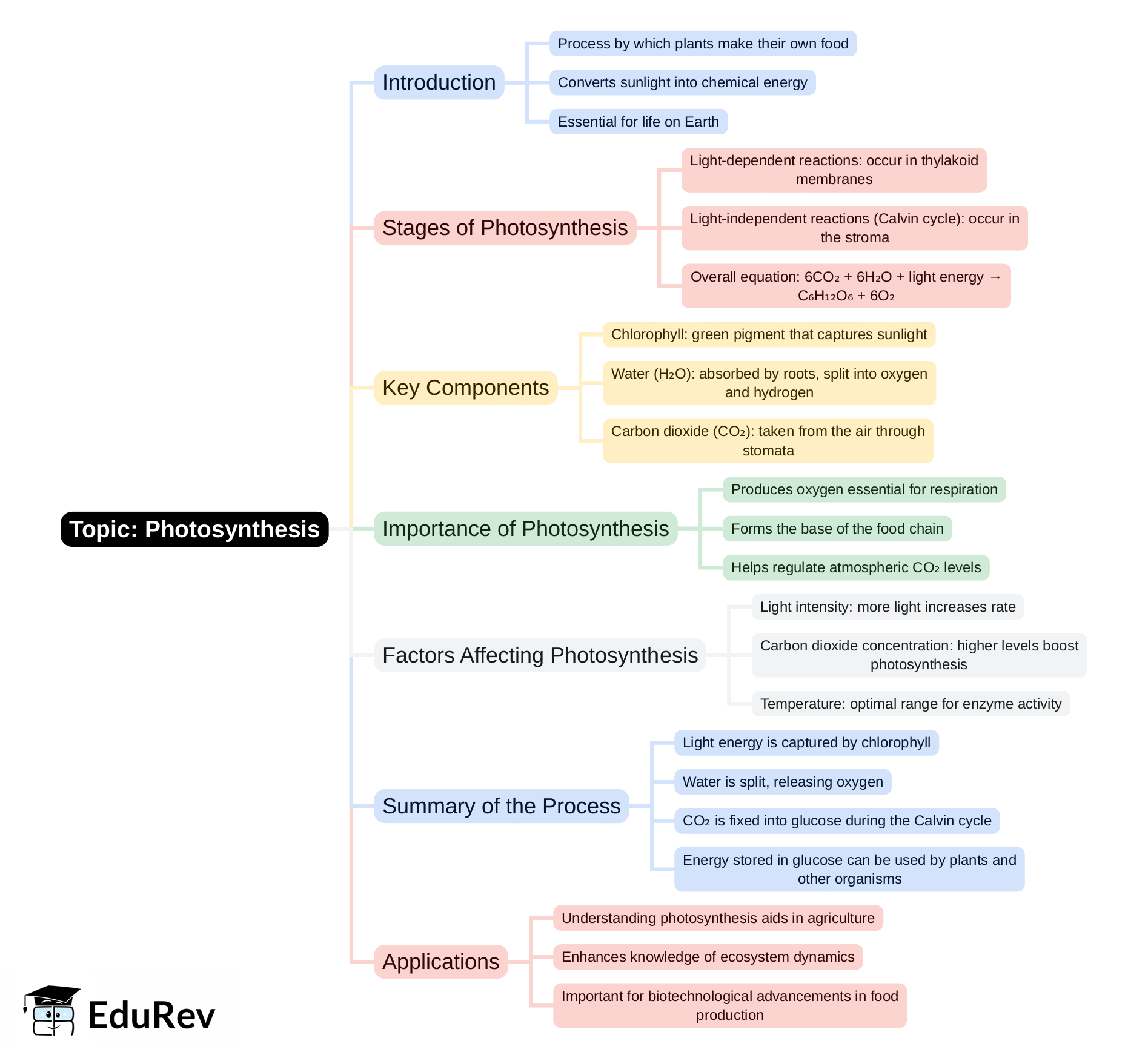 Mindmap: PDF Download