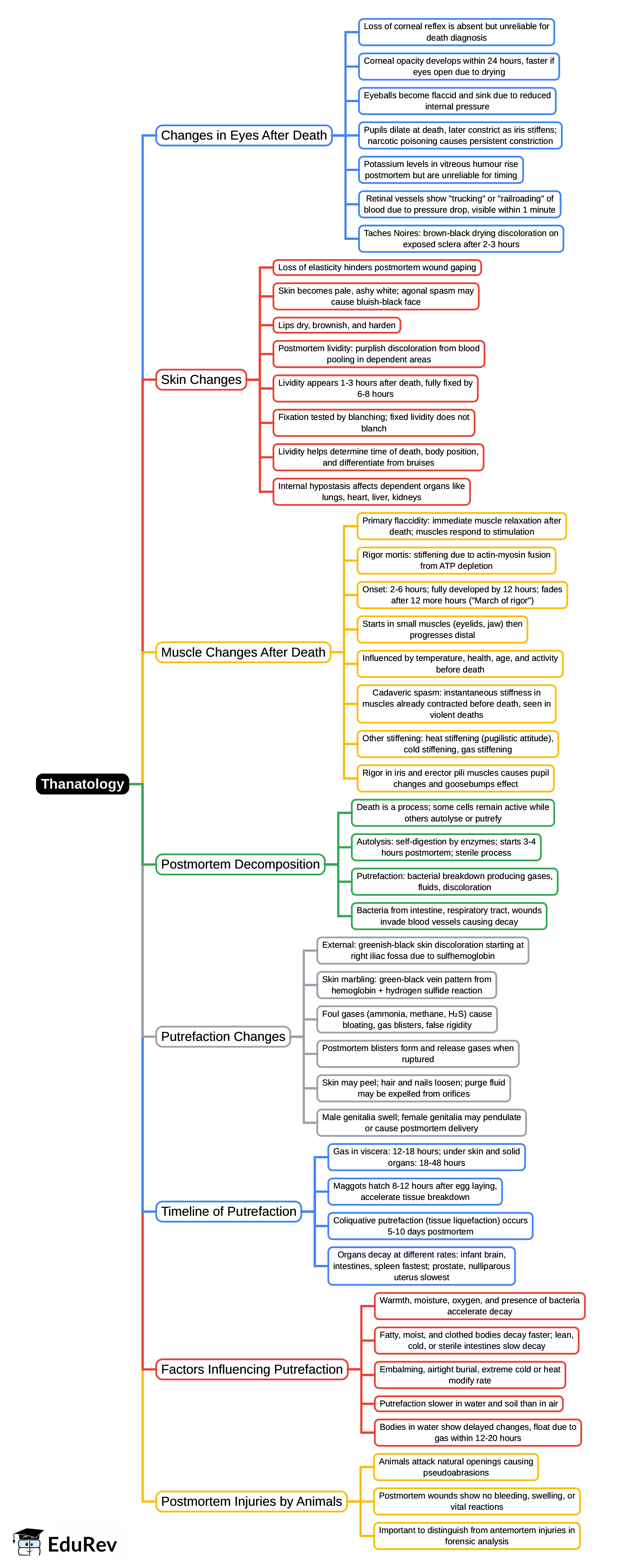 Mind Map: Thanatology – 3 - Forensic Medicine and Toxicology (FMT ...