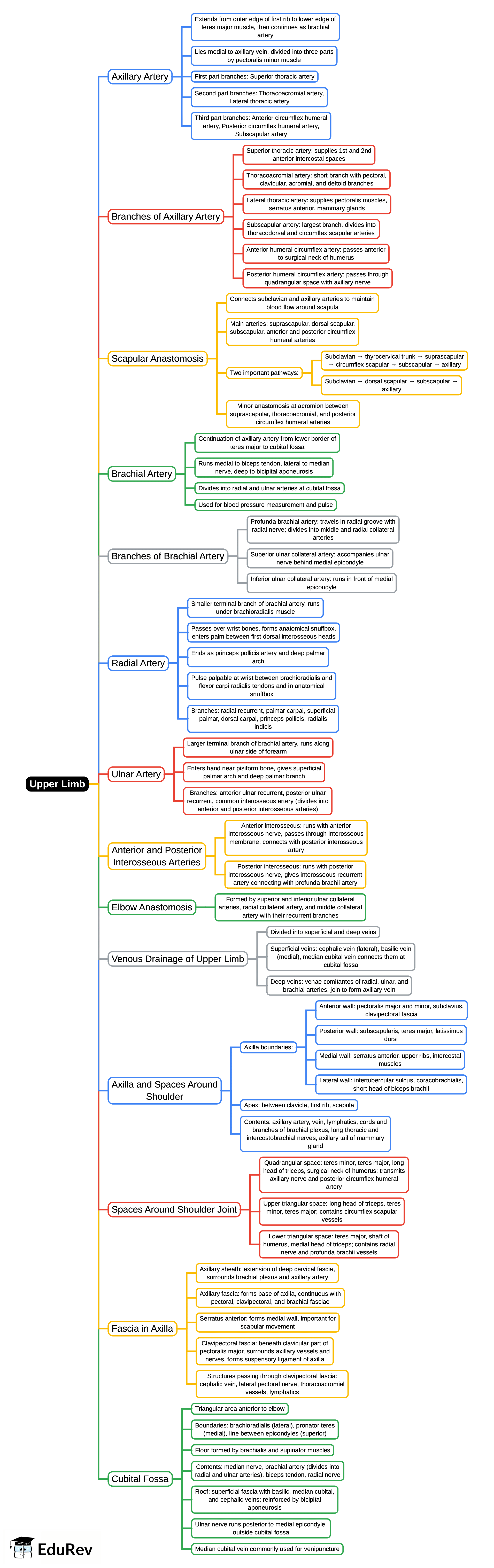Mind Map: Upper Limb - Anatomy - NEET PG PDF Download