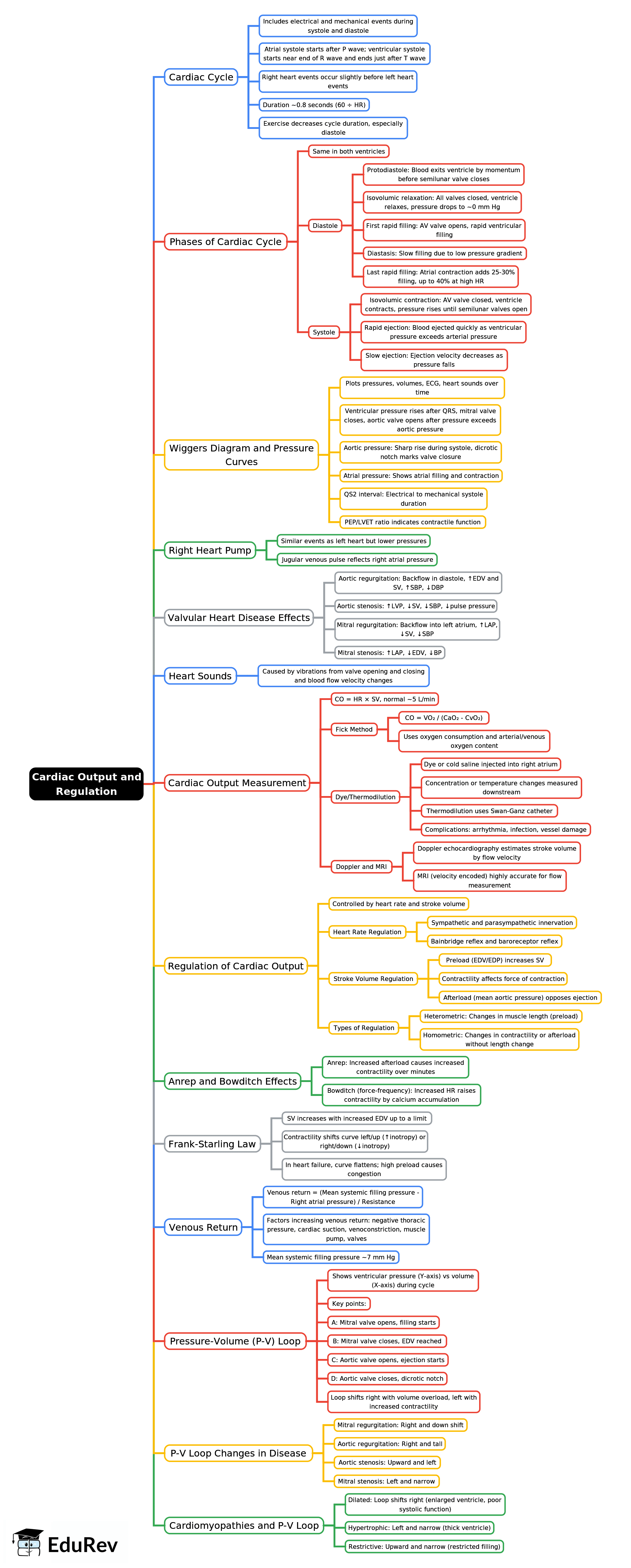 Cardiac Output and Regulation Mind Map - NEET PG Physiology PDF Download