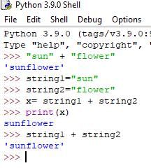 Strings Chapter Notes PDF Download