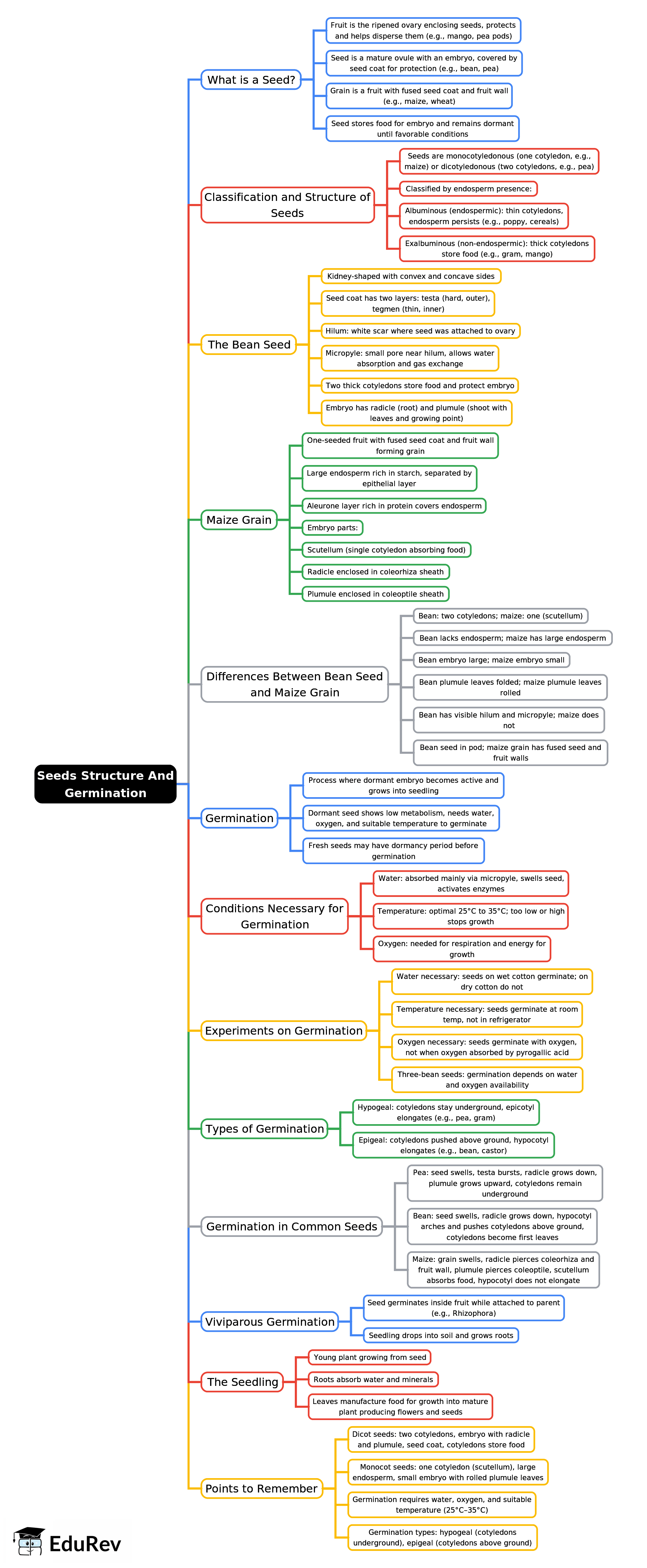 Seeds Structure And Germination Mind Map - Class 9 Biology ICSE PDF ...