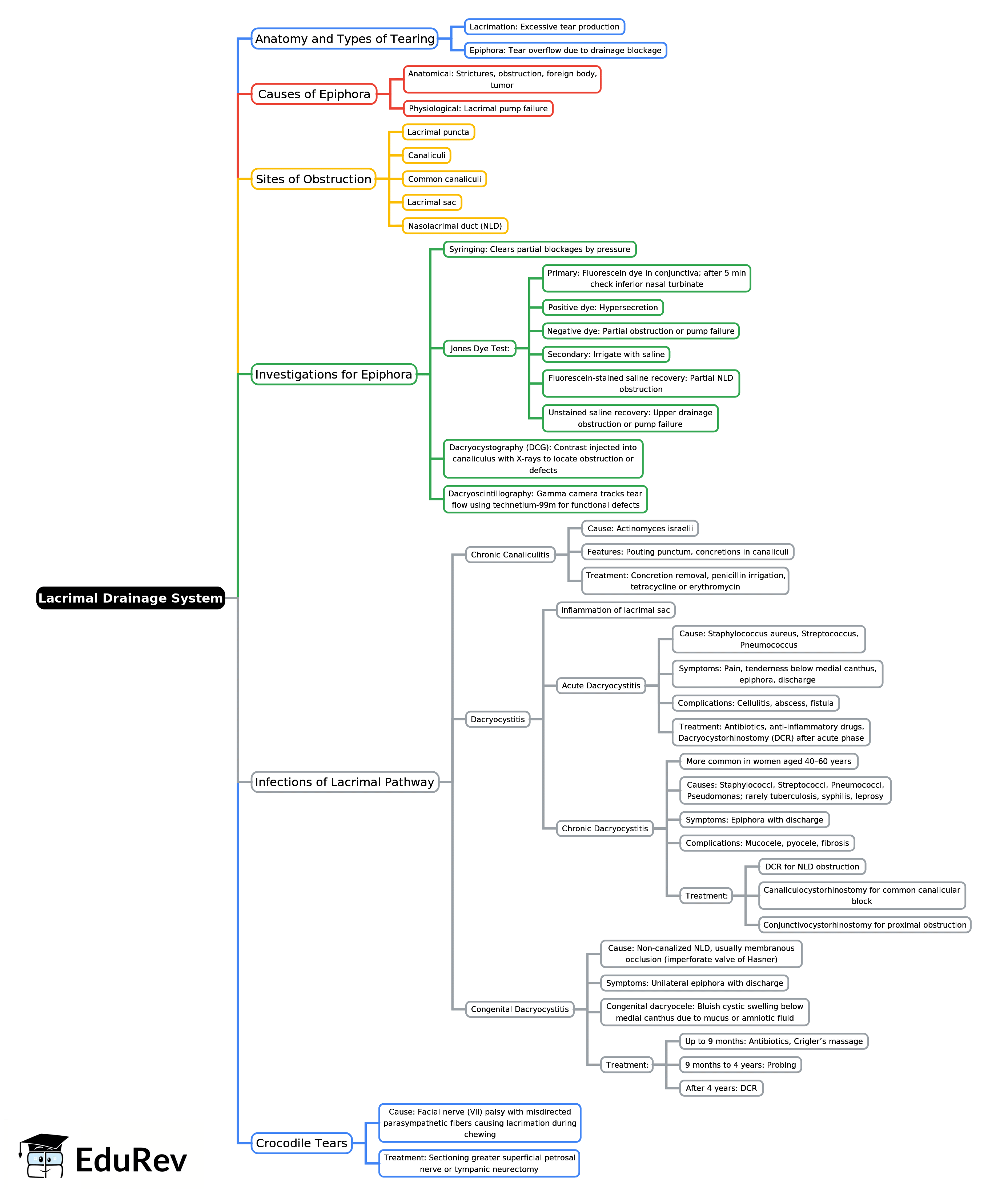Mind Map: Lacrimal Drainage System - Ophthalmology - NEET PG PDF Download