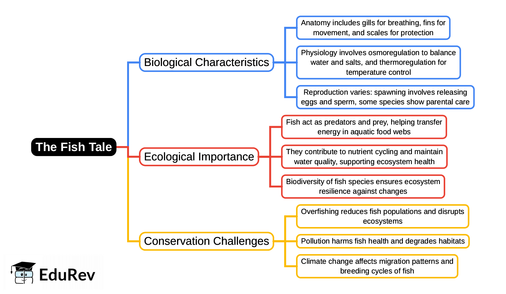 Chapter 1 - The Fish Tale Mind Map - Class 5 PDF Download