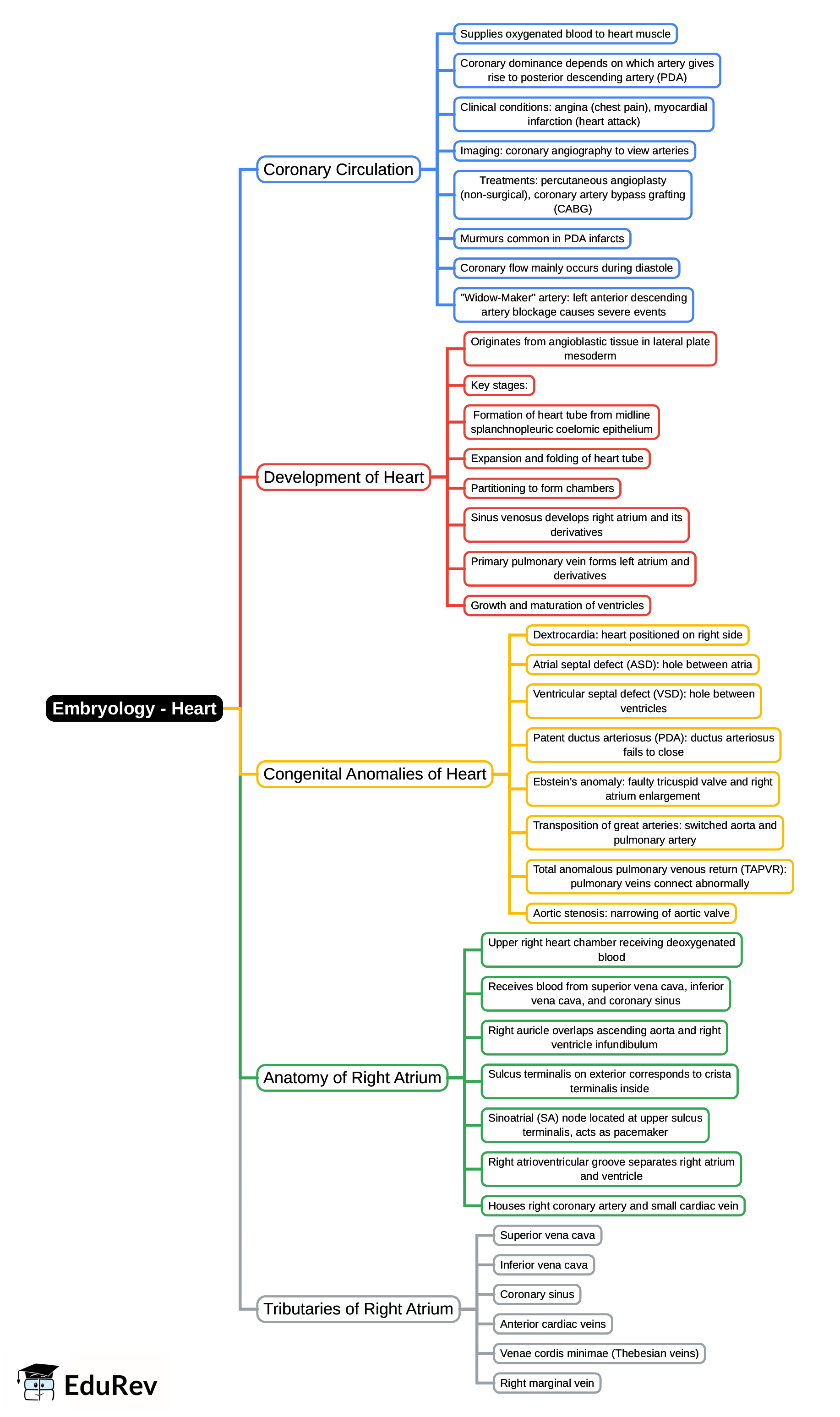 Mind Map: Embryology - 1 - UPSC PDF Download
