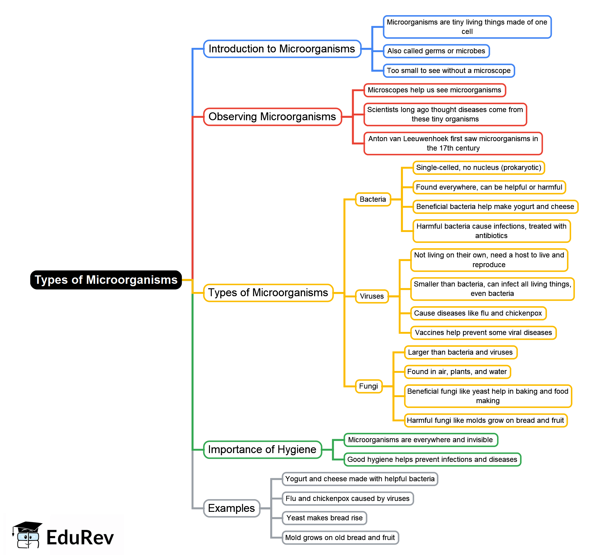 Mind Map: Types of microorganisms - Year 7 PDF Download