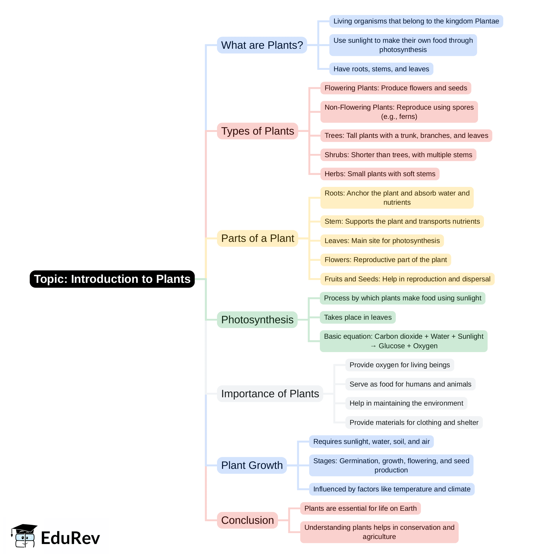 Mind Map: PDF Download