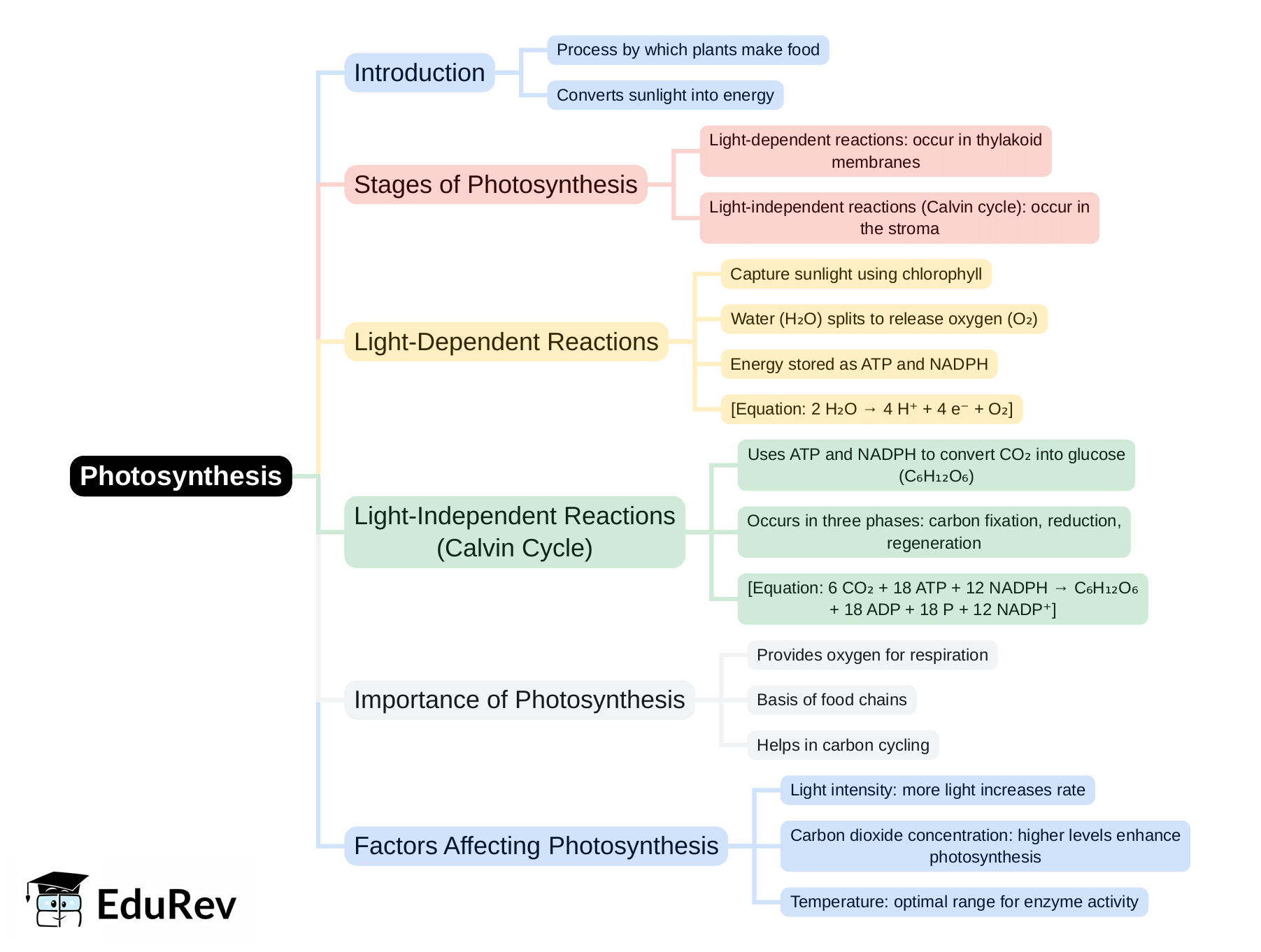 Mind Map - PDF Download