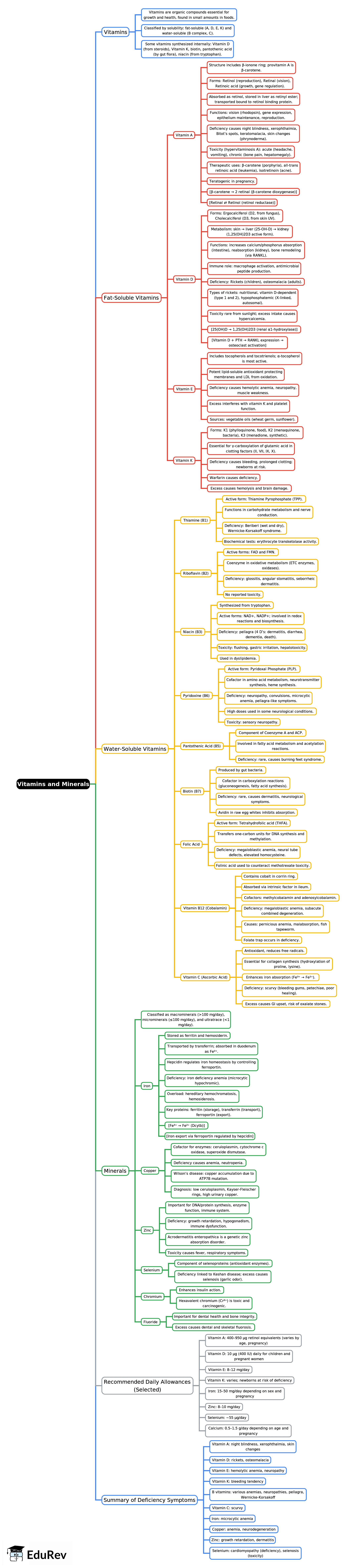 Mind Map: Vitamins and Minerals - Biochemistry - NEET PG PDF Download