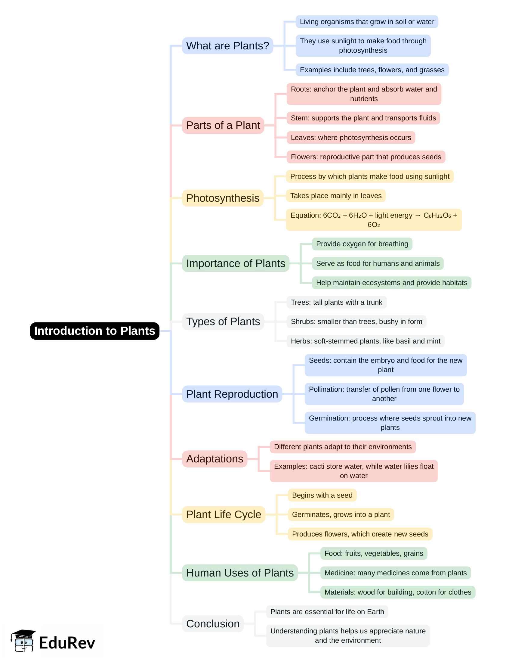 Mind Map: PDF Download