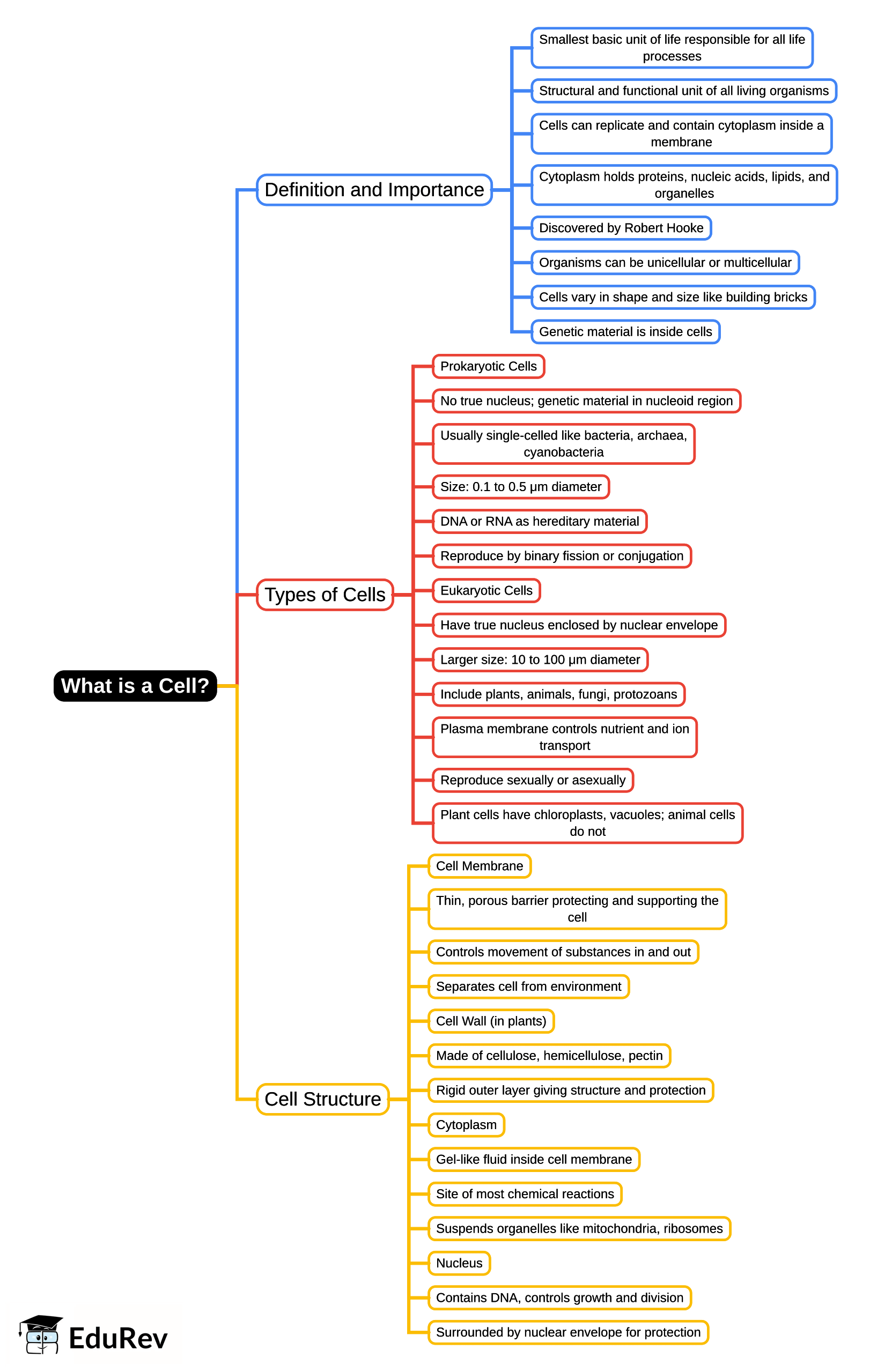 What is a Cell Mind Map - UPSC PDF Download