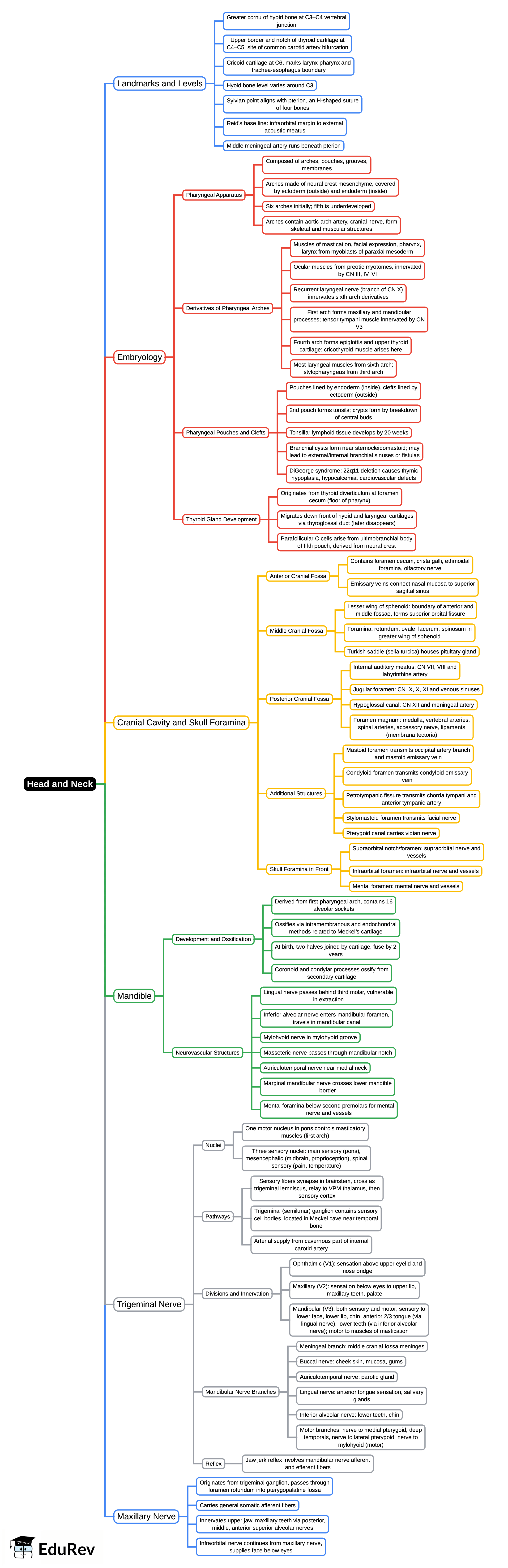 Mind Map: Head and Neck - Anatomy - NEET PG PDF Download