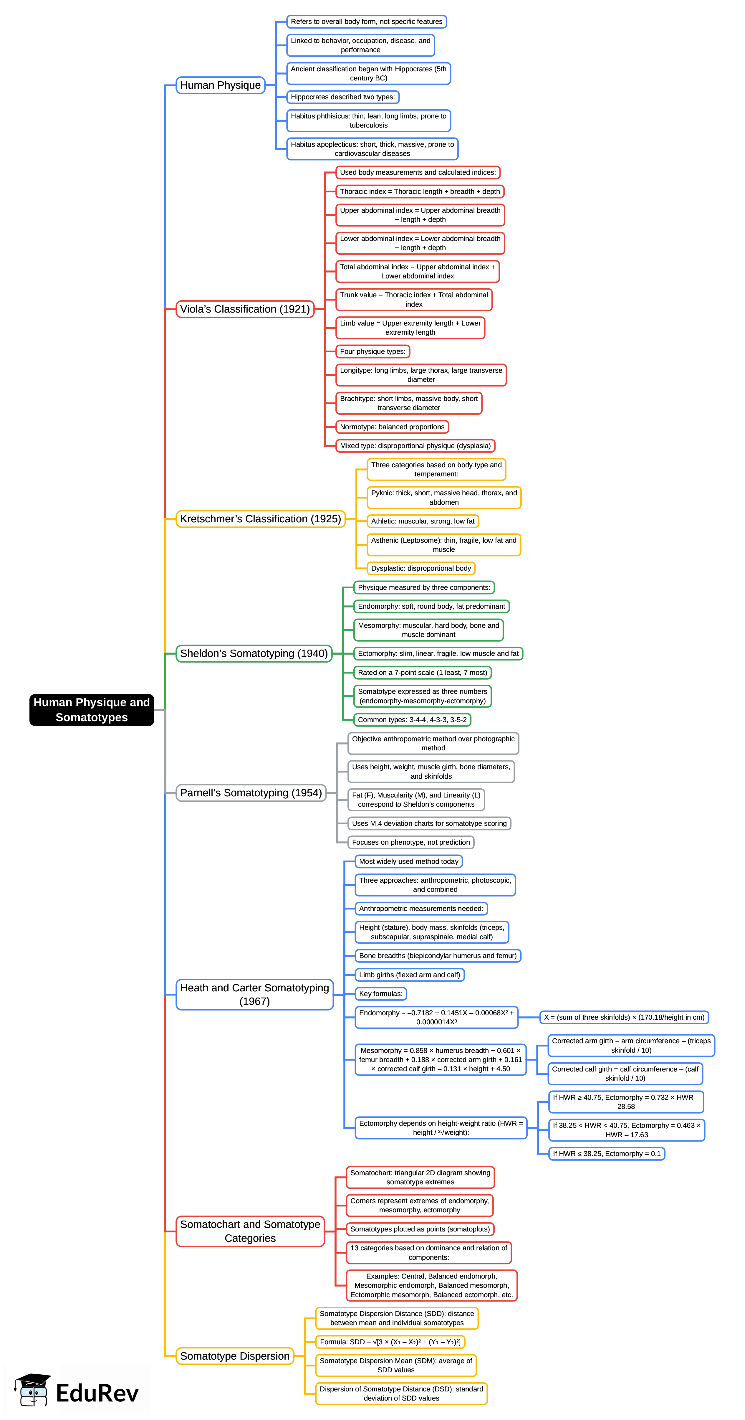Human physique and somatotypes Mind Map - UPSC PDF Download