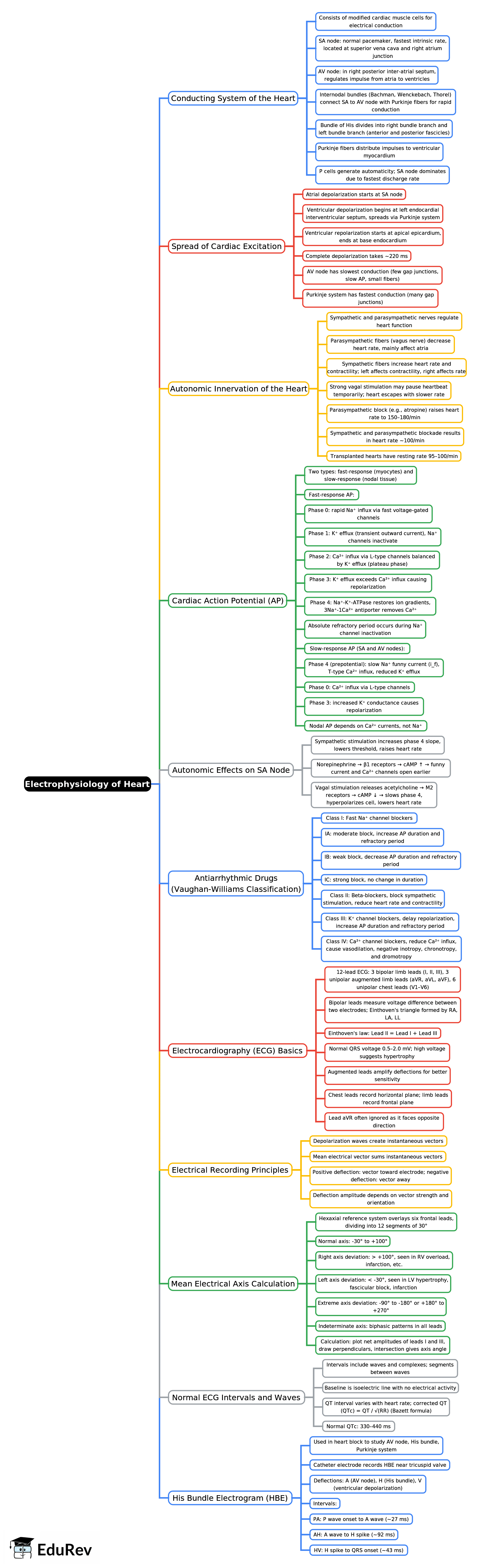 Mind Map: Electrophysiology of Heart - Gynaecology and Obstetrics - NEET PG PDF Download