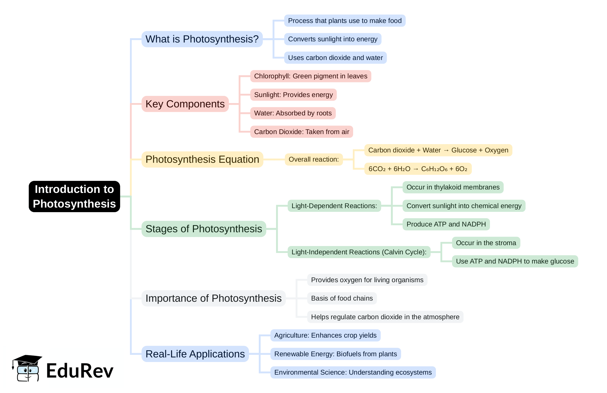 Mind Map - PDF Download