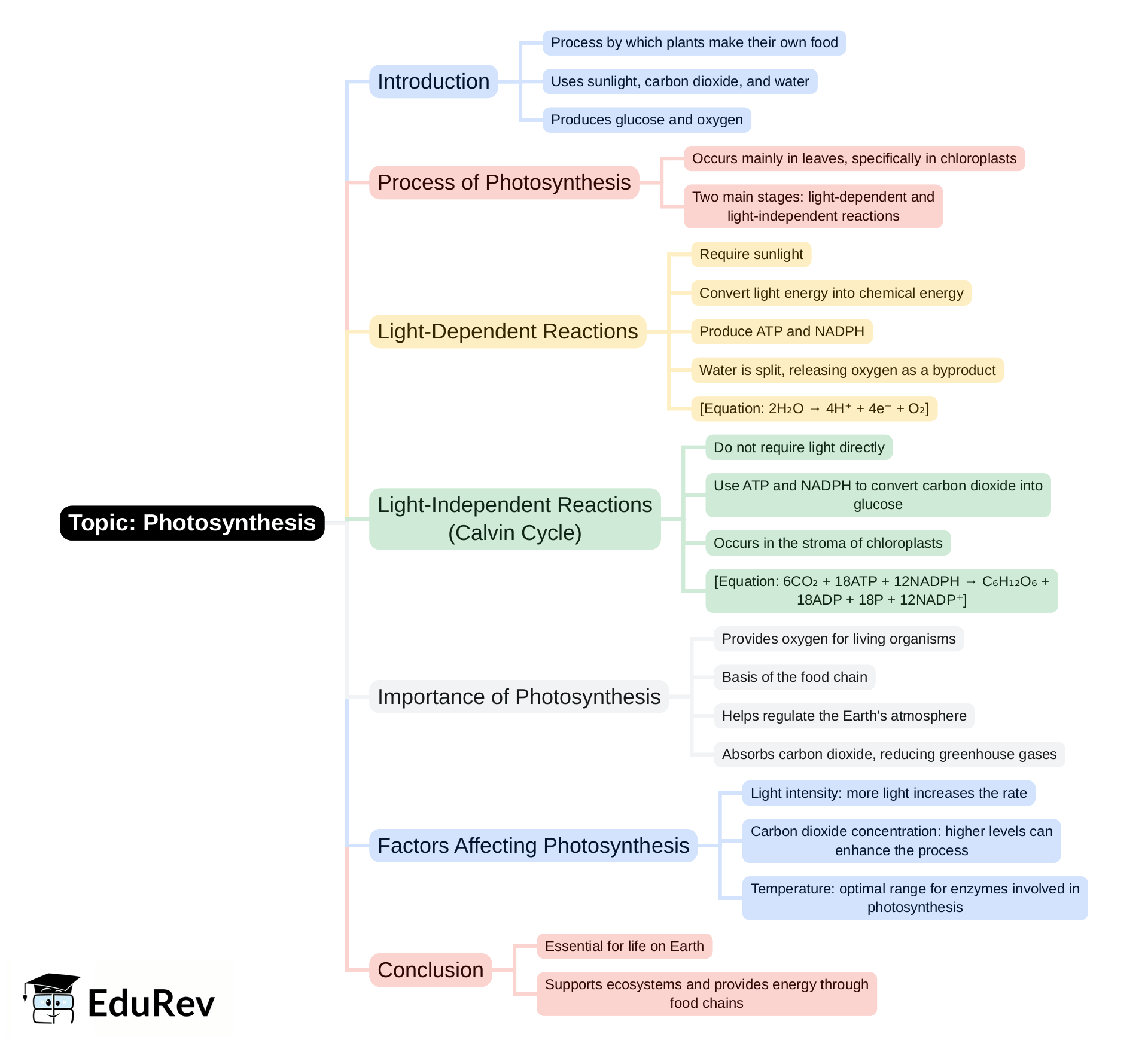 Mindmap: PDF Download