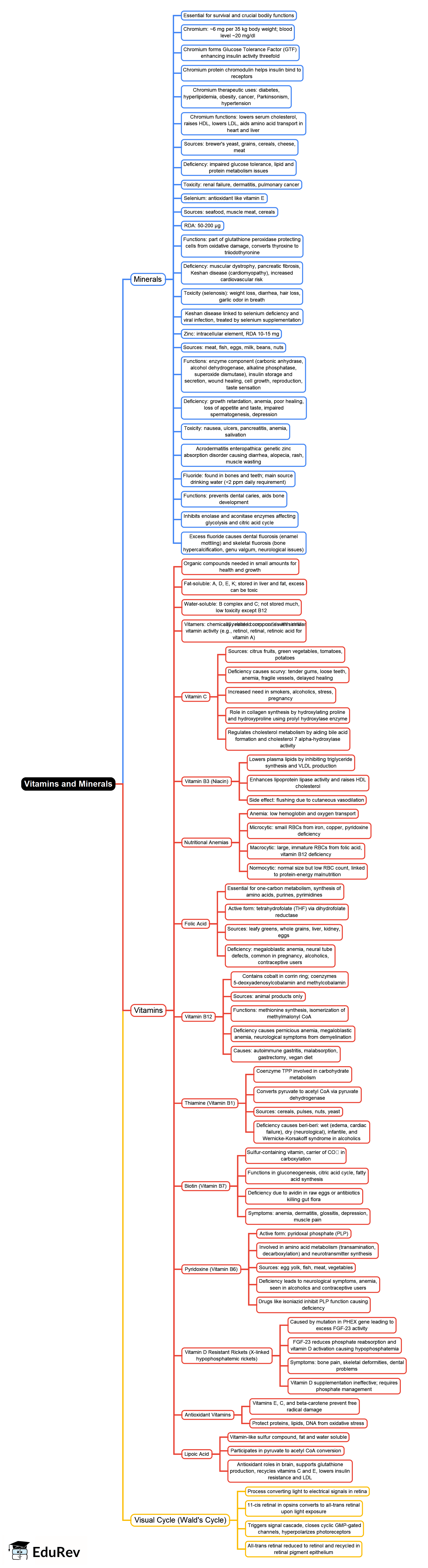 Vitamins and Minerals Mind Map - UPSC PDF Download