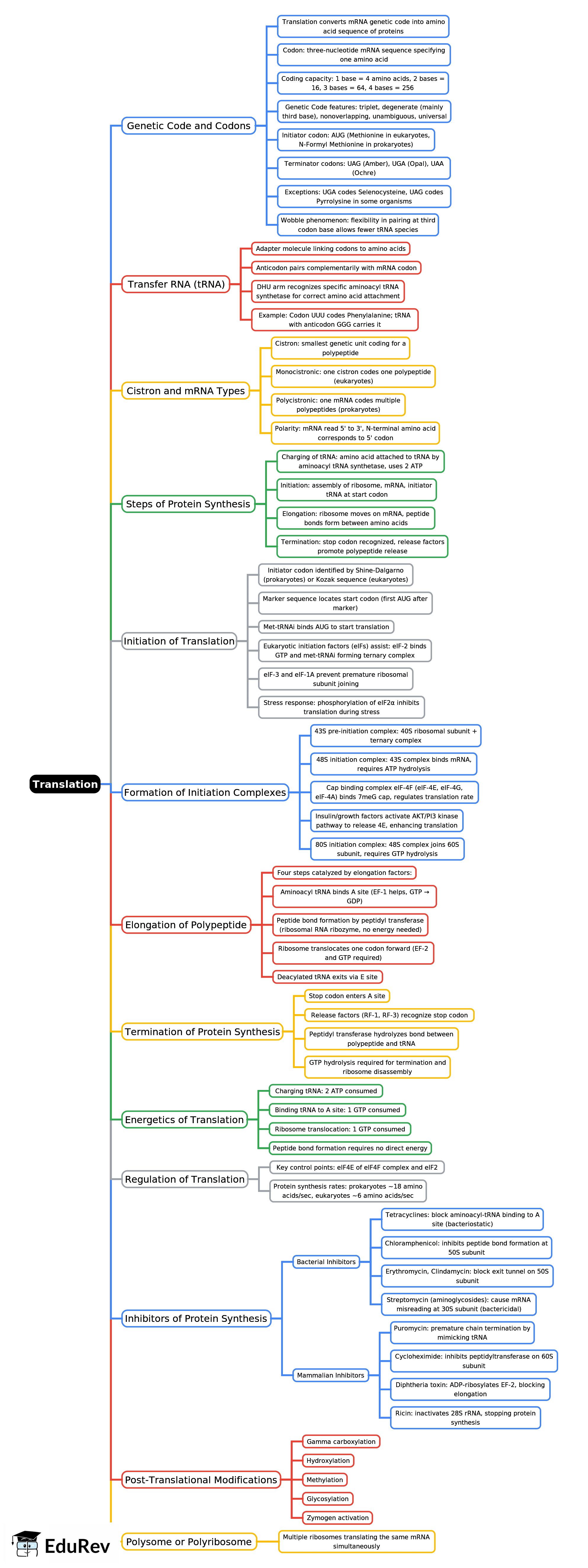 Mind Map: Translation - Biochemistry - NEET PG PDF Download